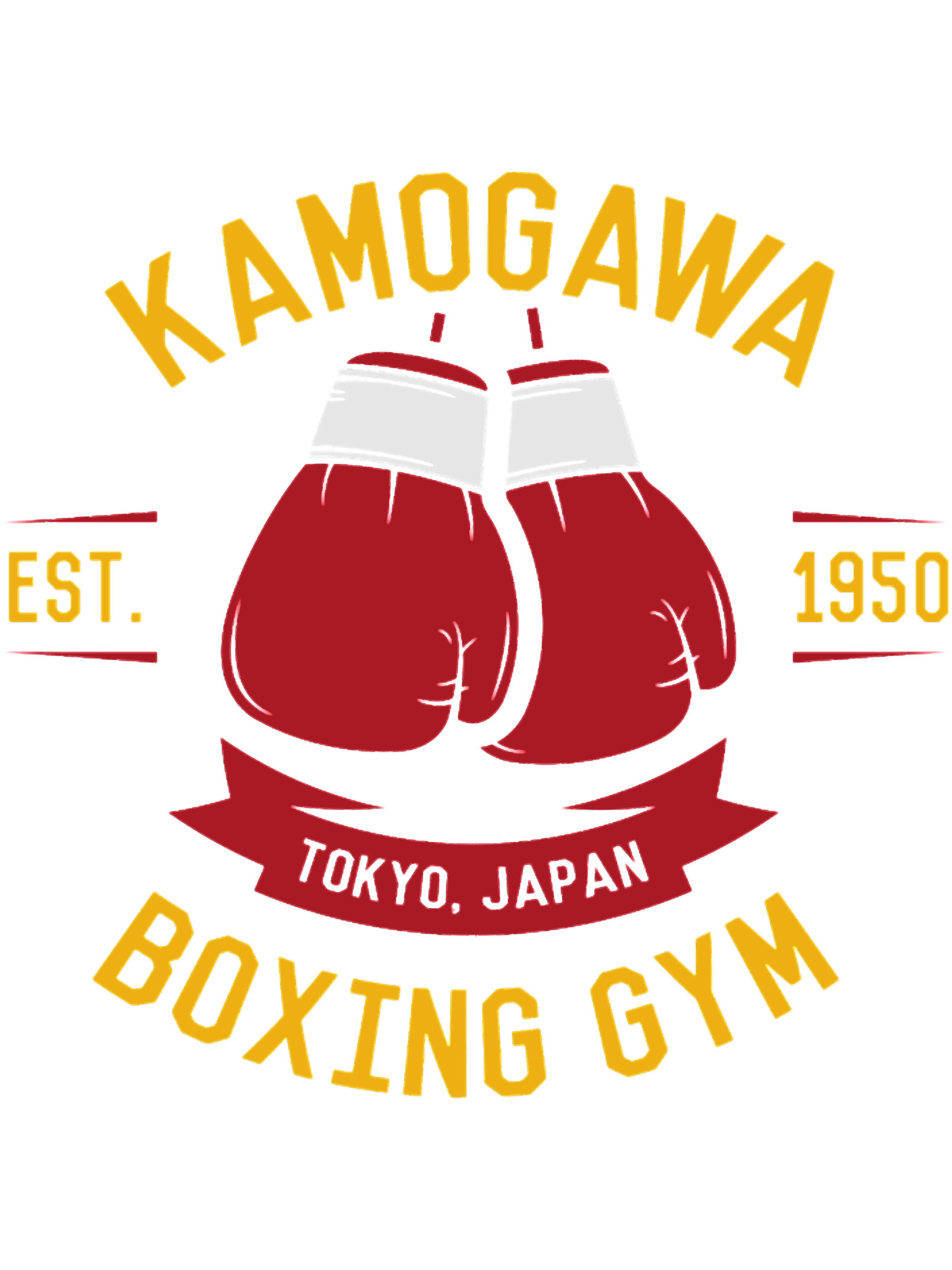 Kamogawa Boxing Gloves Vintage Design | Inspire Uplift