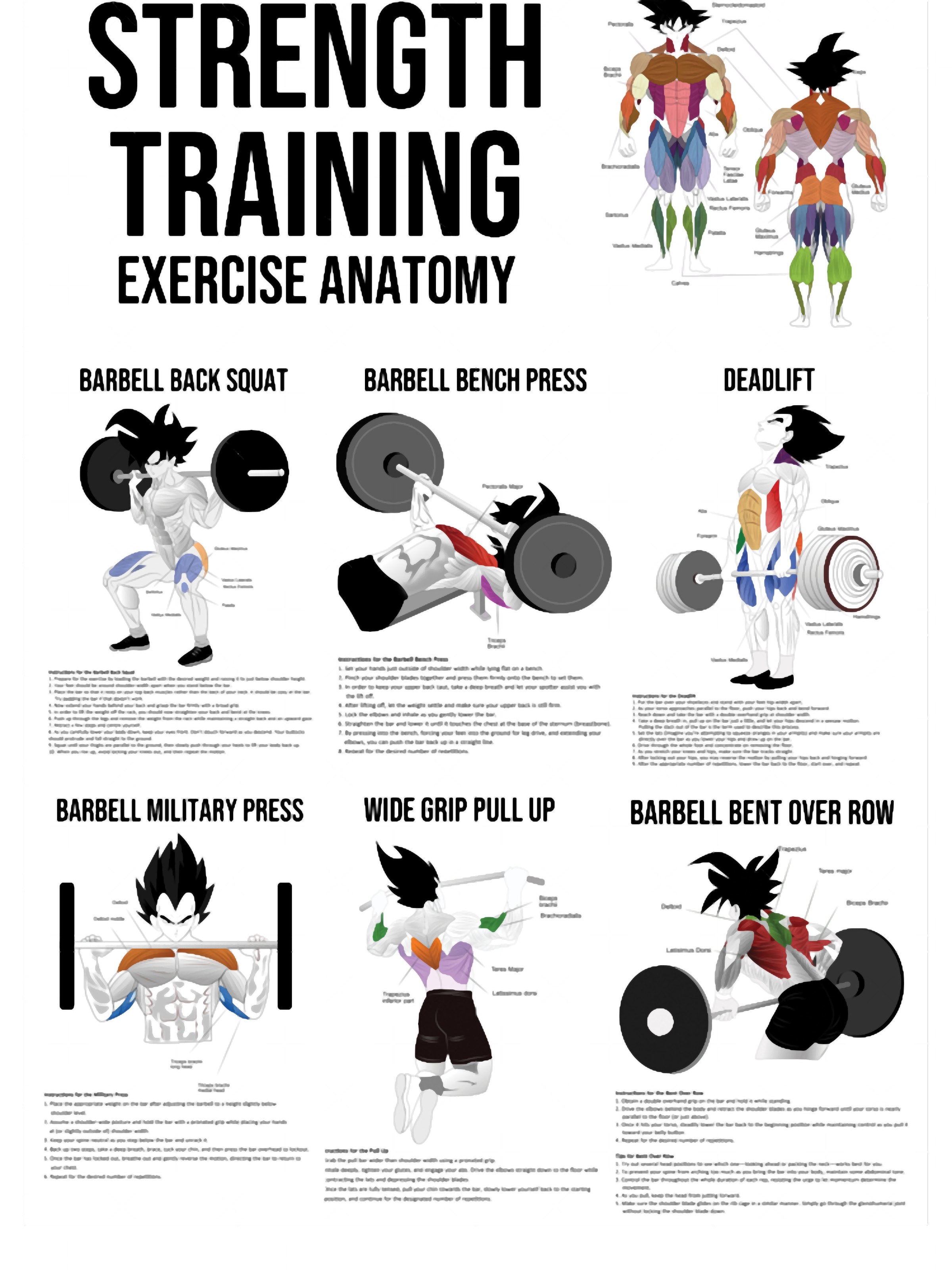 Strength Training ExercisesMuscle ChartAnatomy DiagramAnime | Inspire ...