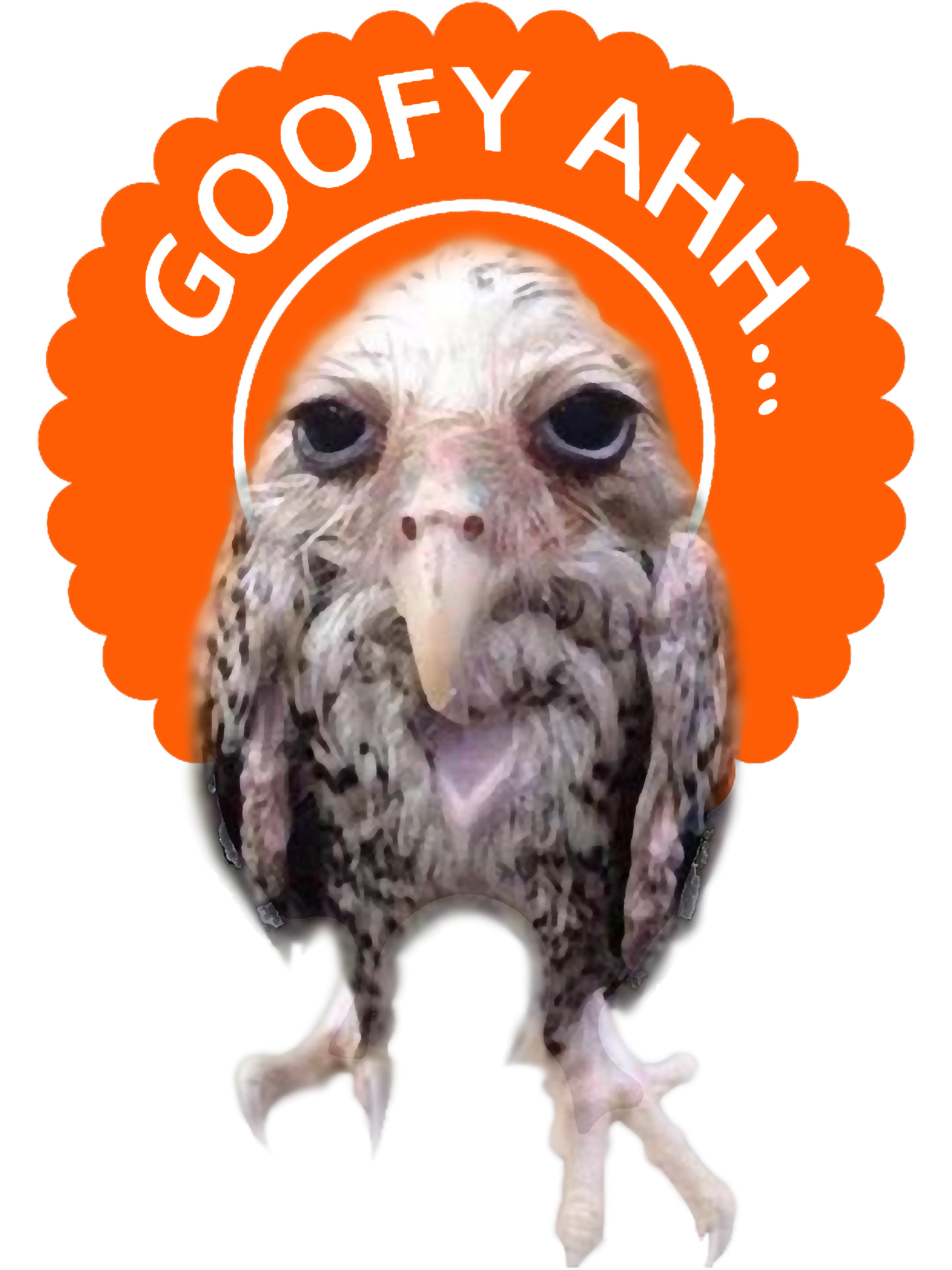 Goofy Animal Funny Meme