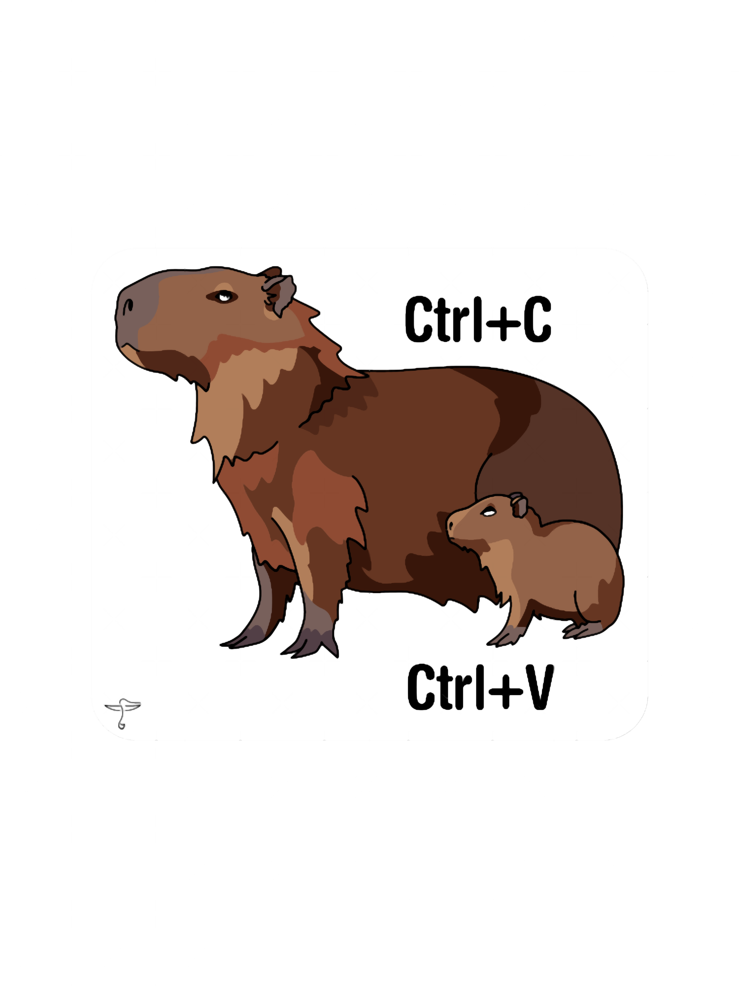 Capybara Keyboard Shortcuts Color | Inspire Uplift