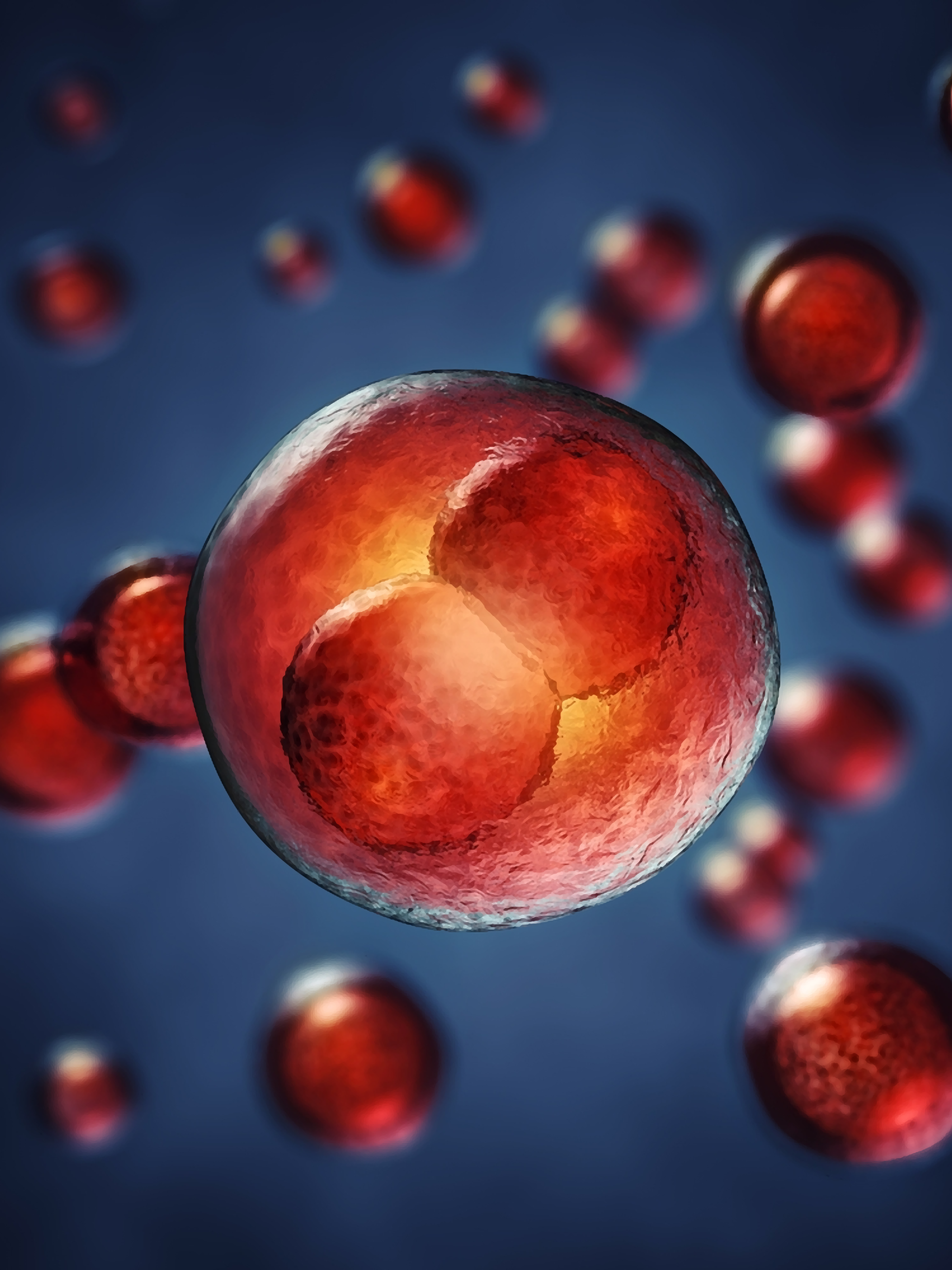 Egg cell Graphic - Inspire Uplift