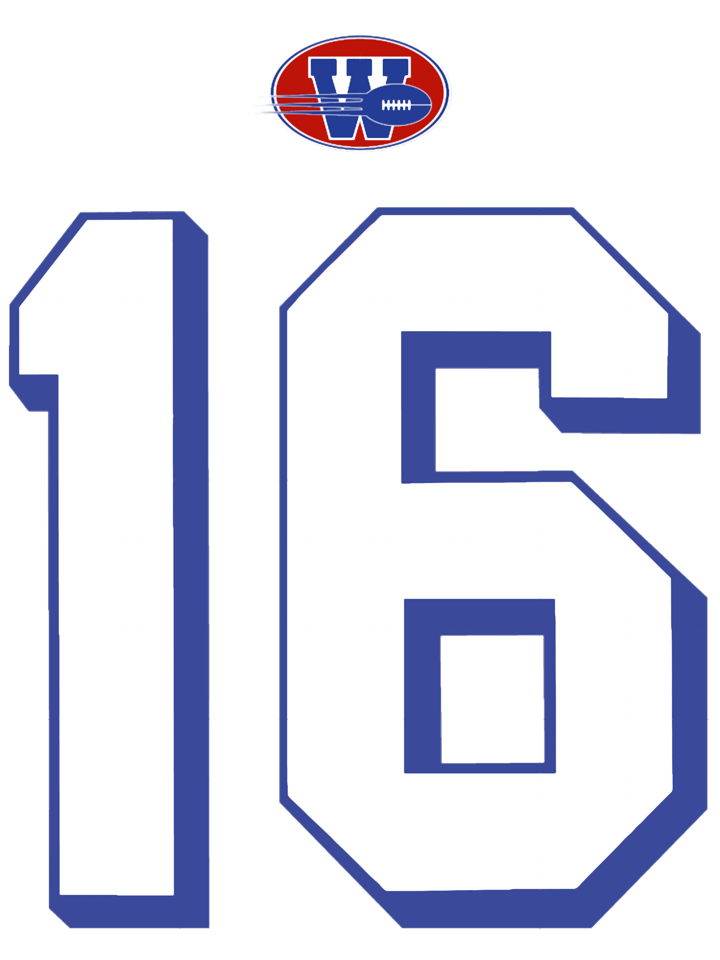 The Replacements Shane Falco Jersey | Inspire Uplift