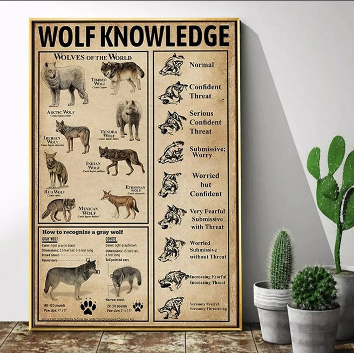 Wolf Knowledge Poster, Wolf Wall Art, Wolf Art Prints, Wolf | Inspire ...