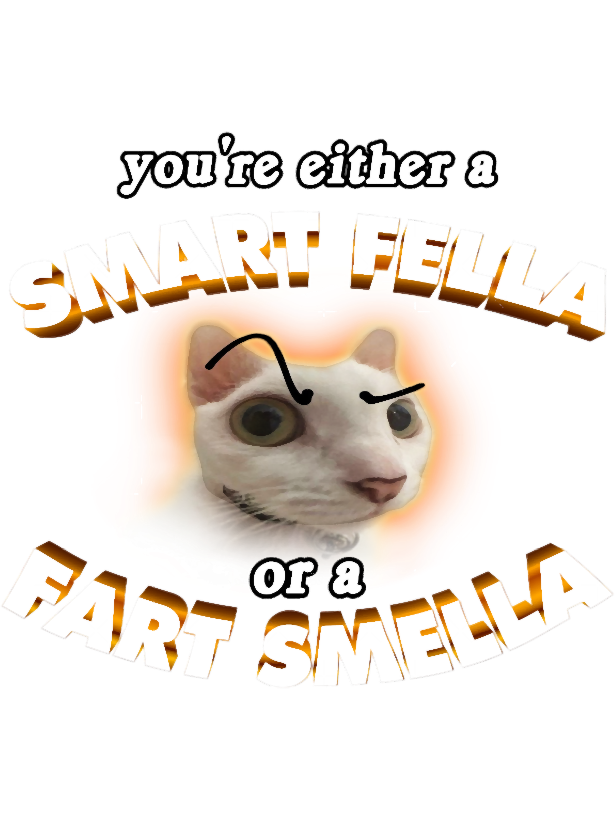 youre a smart fella or a fart smella | Inspire Uplift