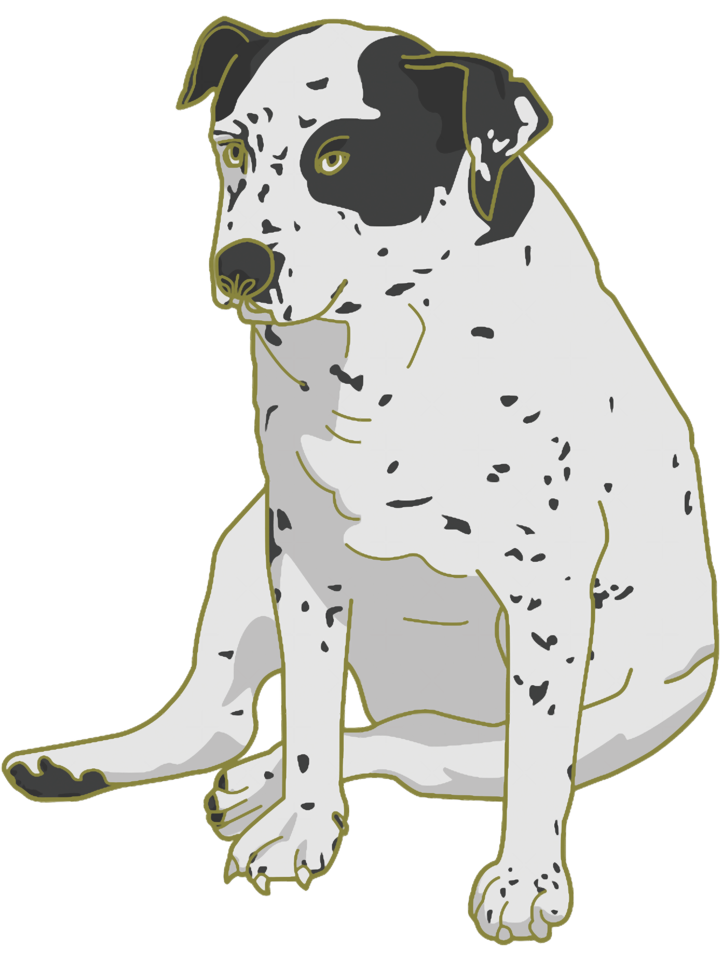 Oreo Cheems | Inspire Uplift