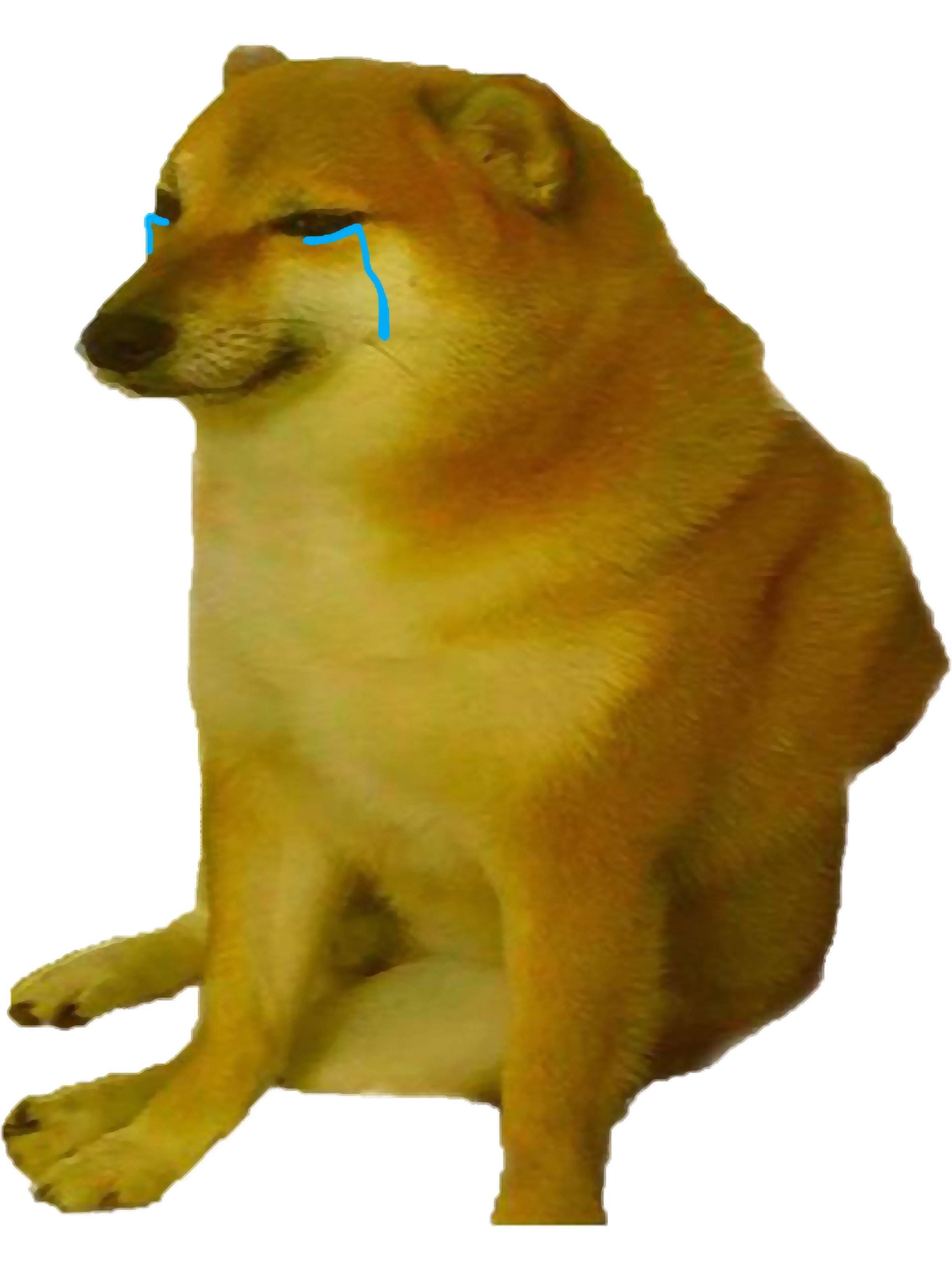 Sad cheems meme | Inspire Uplift