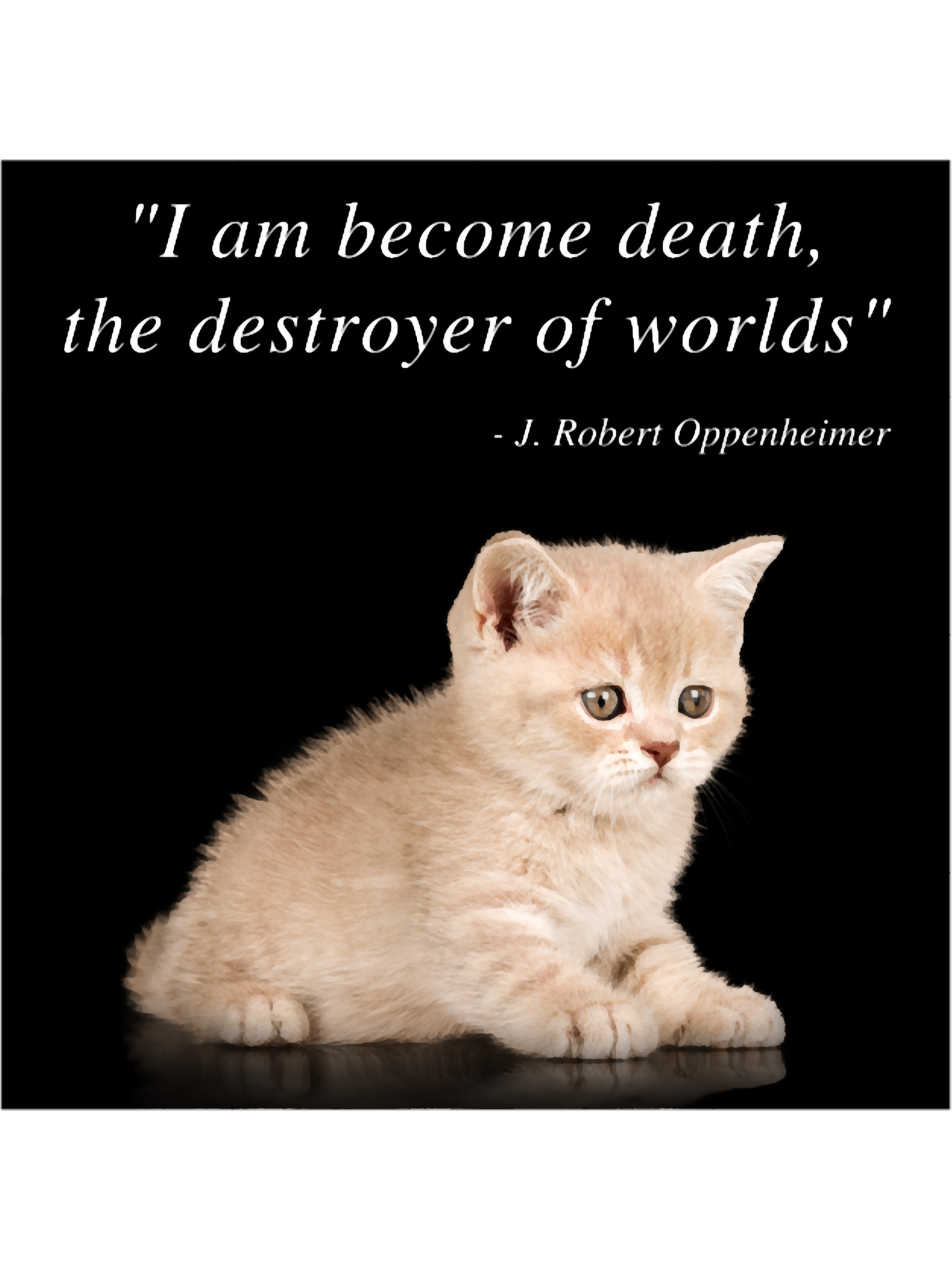 I Am Become Death Cat | Inspire Uplift