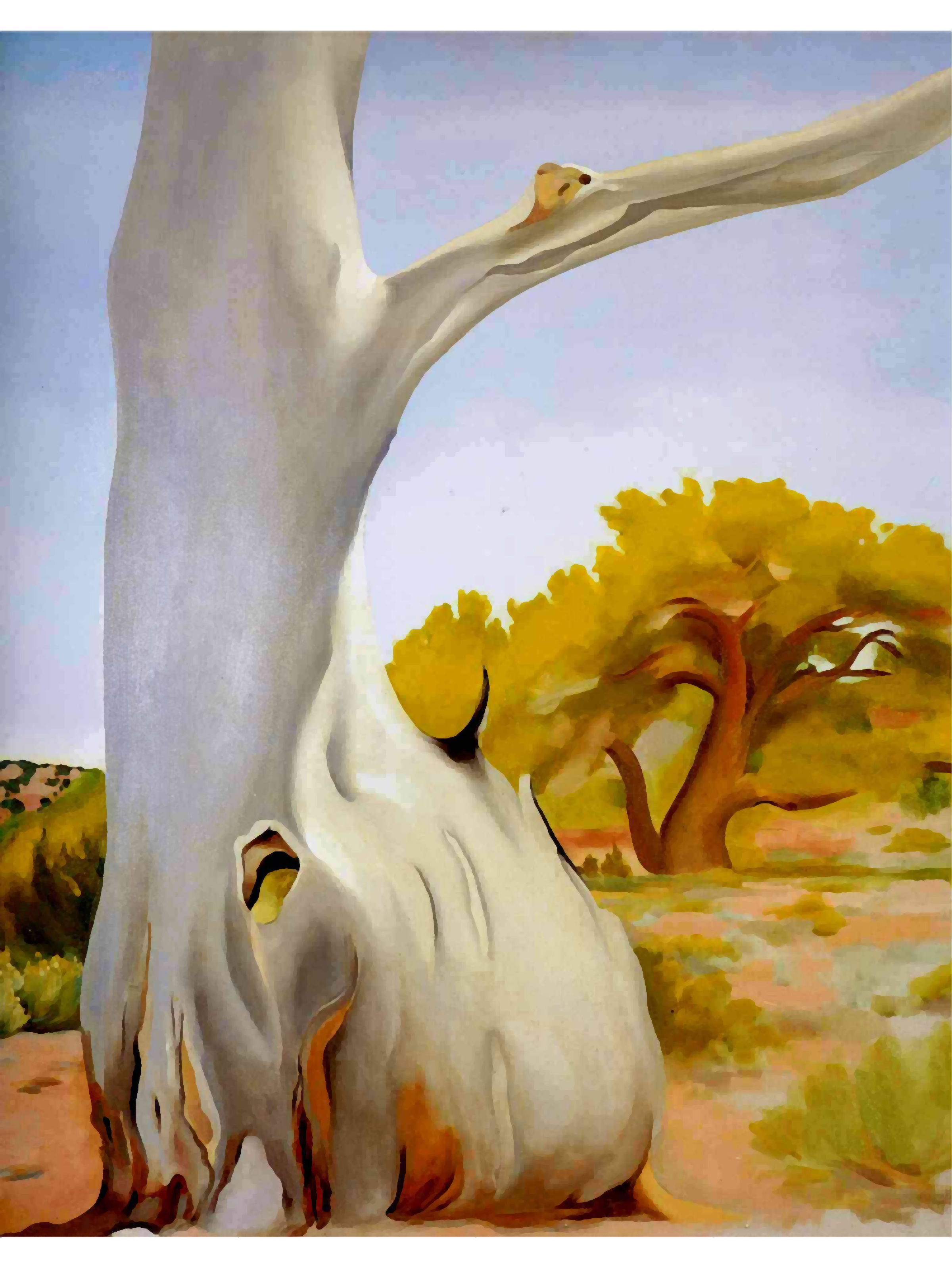 Georgia OKeeffe , Office Wall Decor, Art Gallery - Inspire Uplift