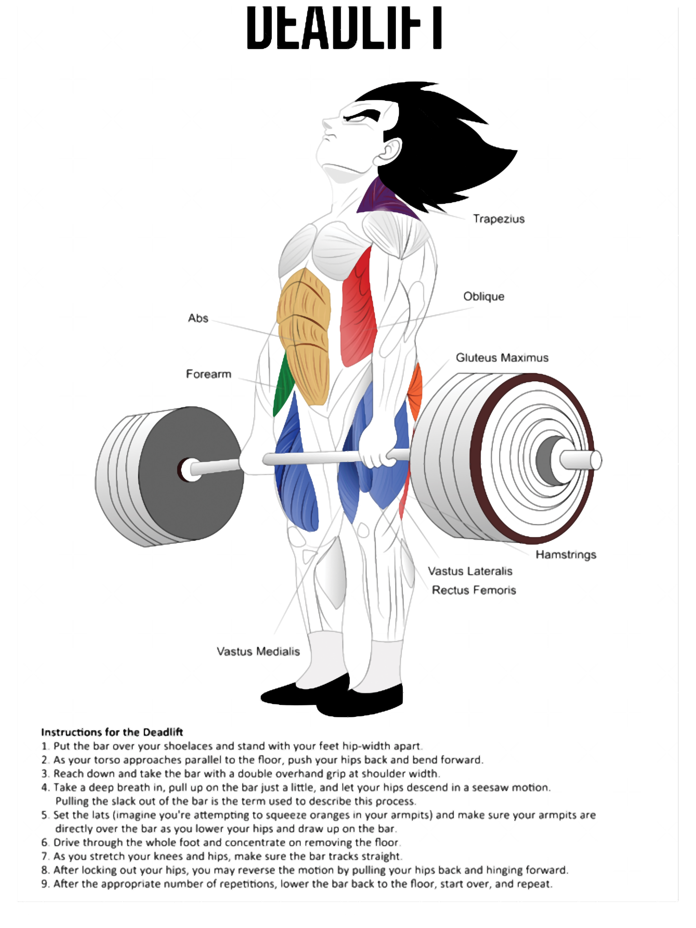 Deadlift Muscle ChartAnatomy DiagramAnime Gym Motivational ( - Inspire ...