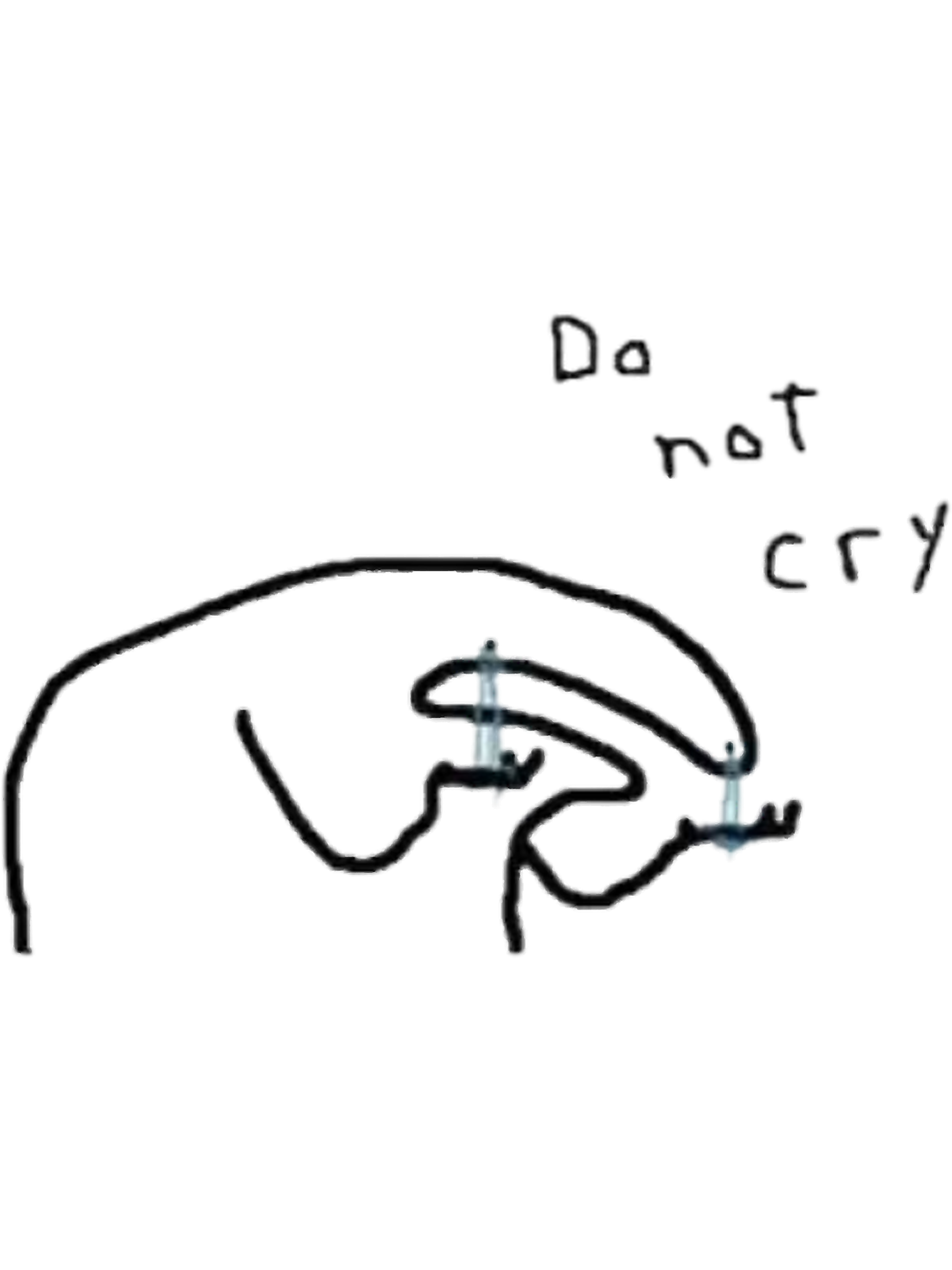 meme flork s, cute sadflork, do not cry flork emoji | Inspire Uplift