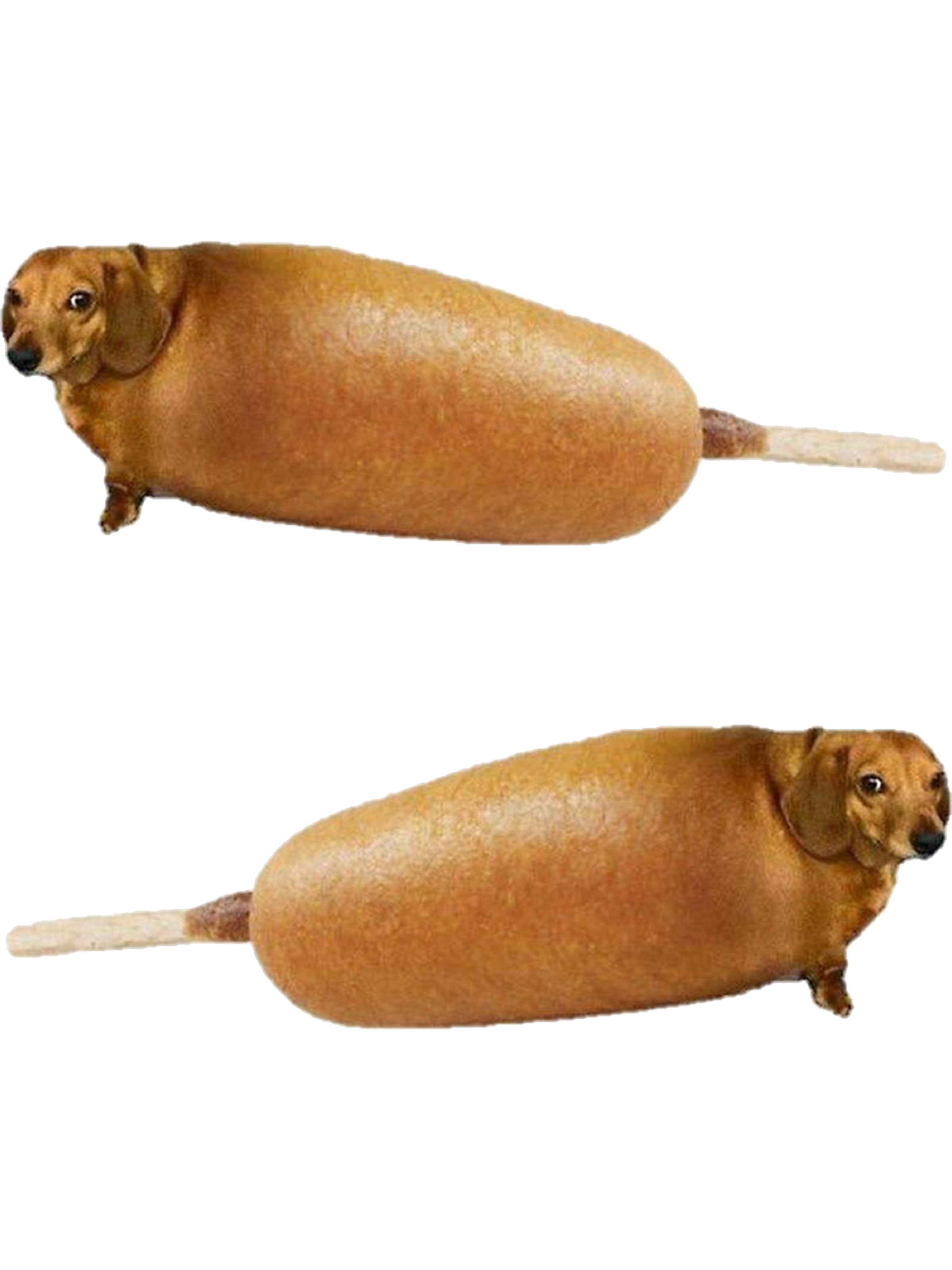 Corndogs | Inspire Uplift