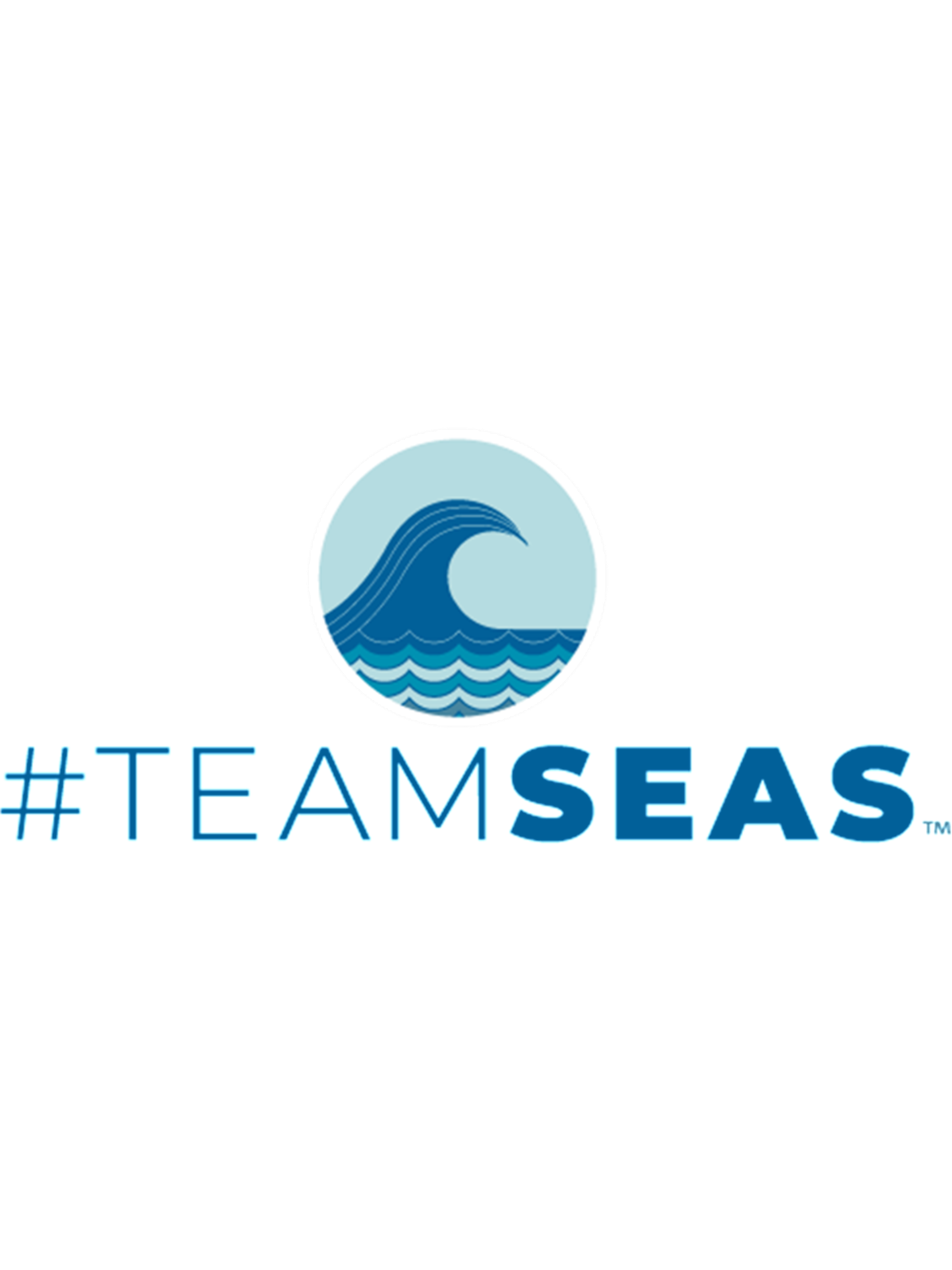 Team Seas Official Logo. | Inspire Uplift