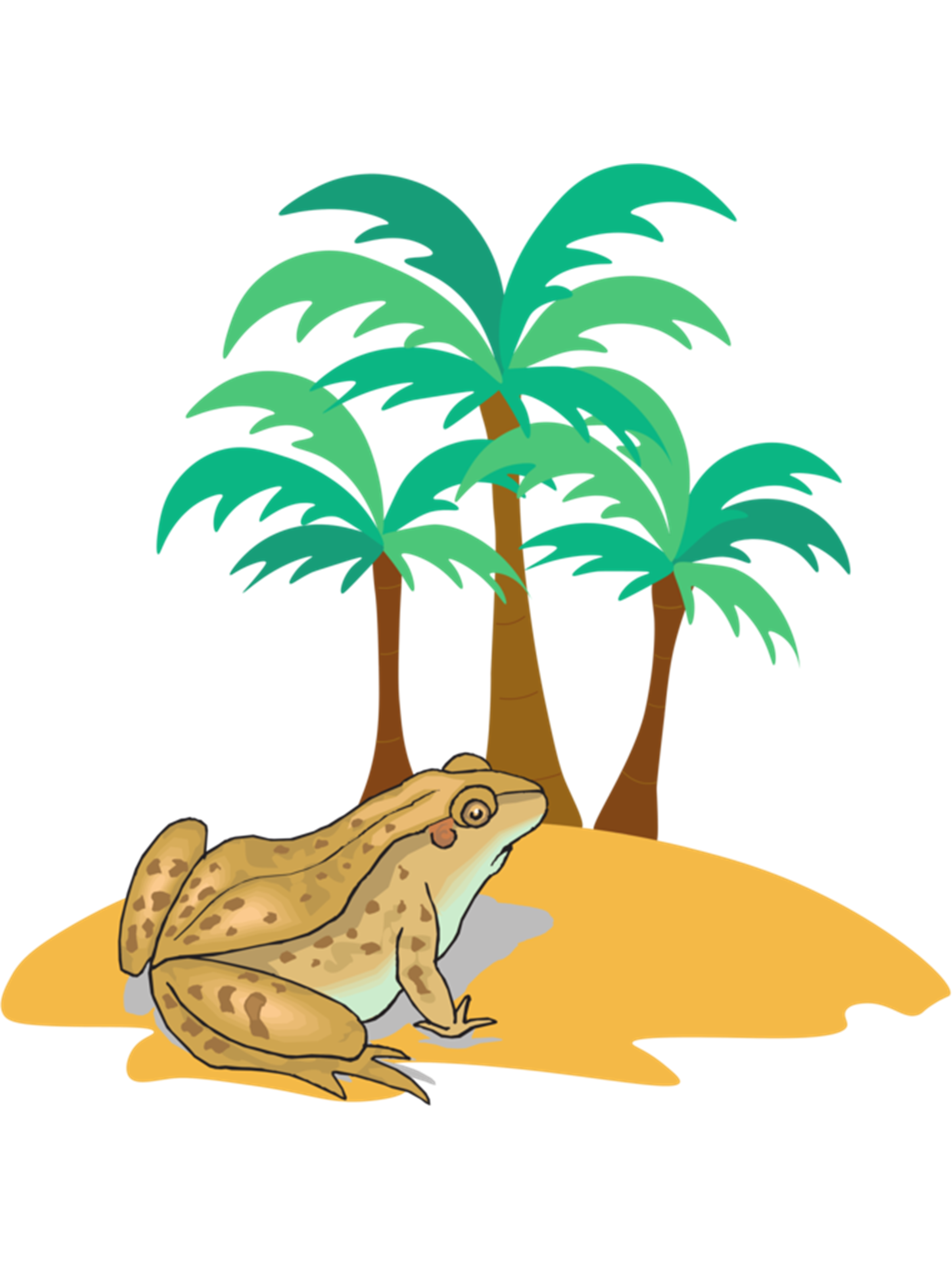 Frog At The Beach-Frog(8) | Inspire Uplift