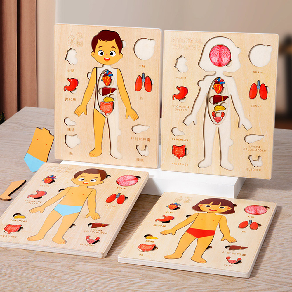 Montessori Human Body Puzzle Busy Board for Toddlers | Inspire Uplift