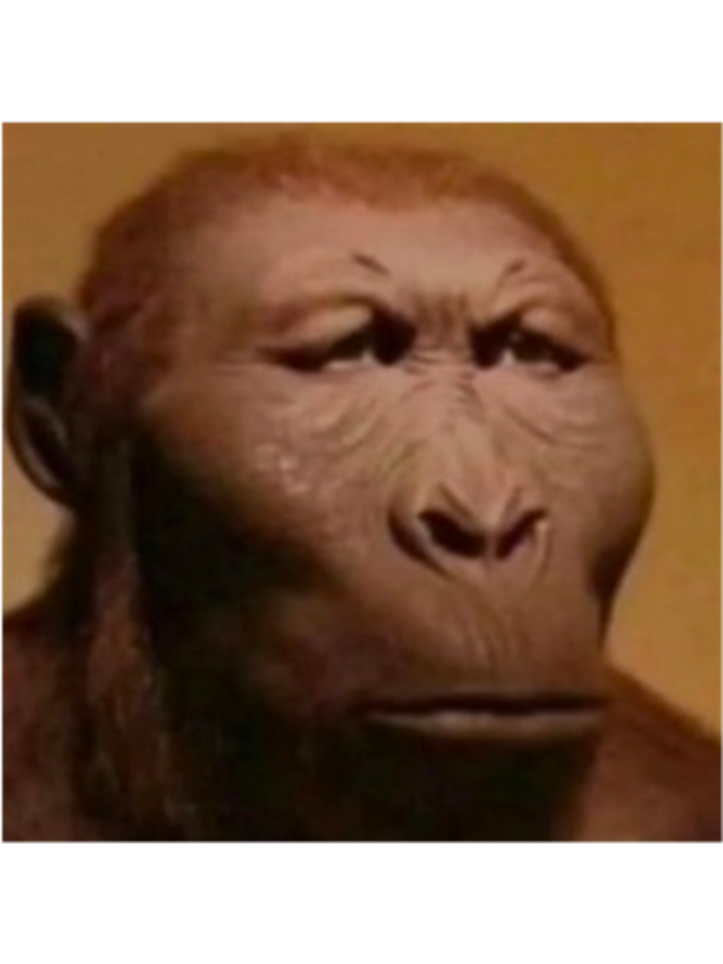 Quandale dingle meme | Inspire Uplift