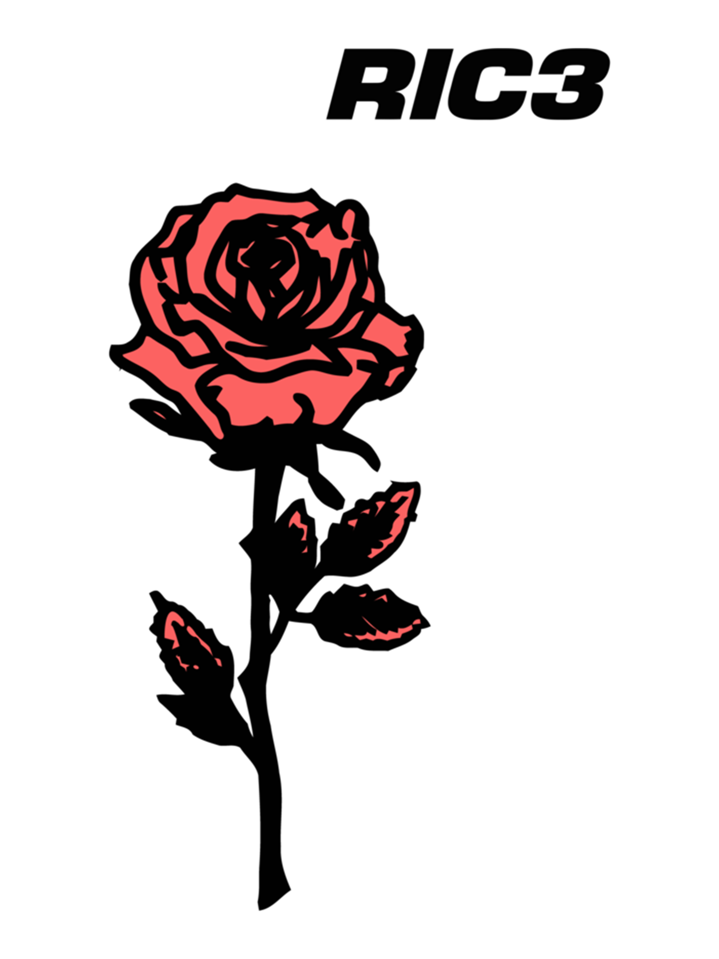 Daniel Ricciardo Merch Flower | Inspire Uplift