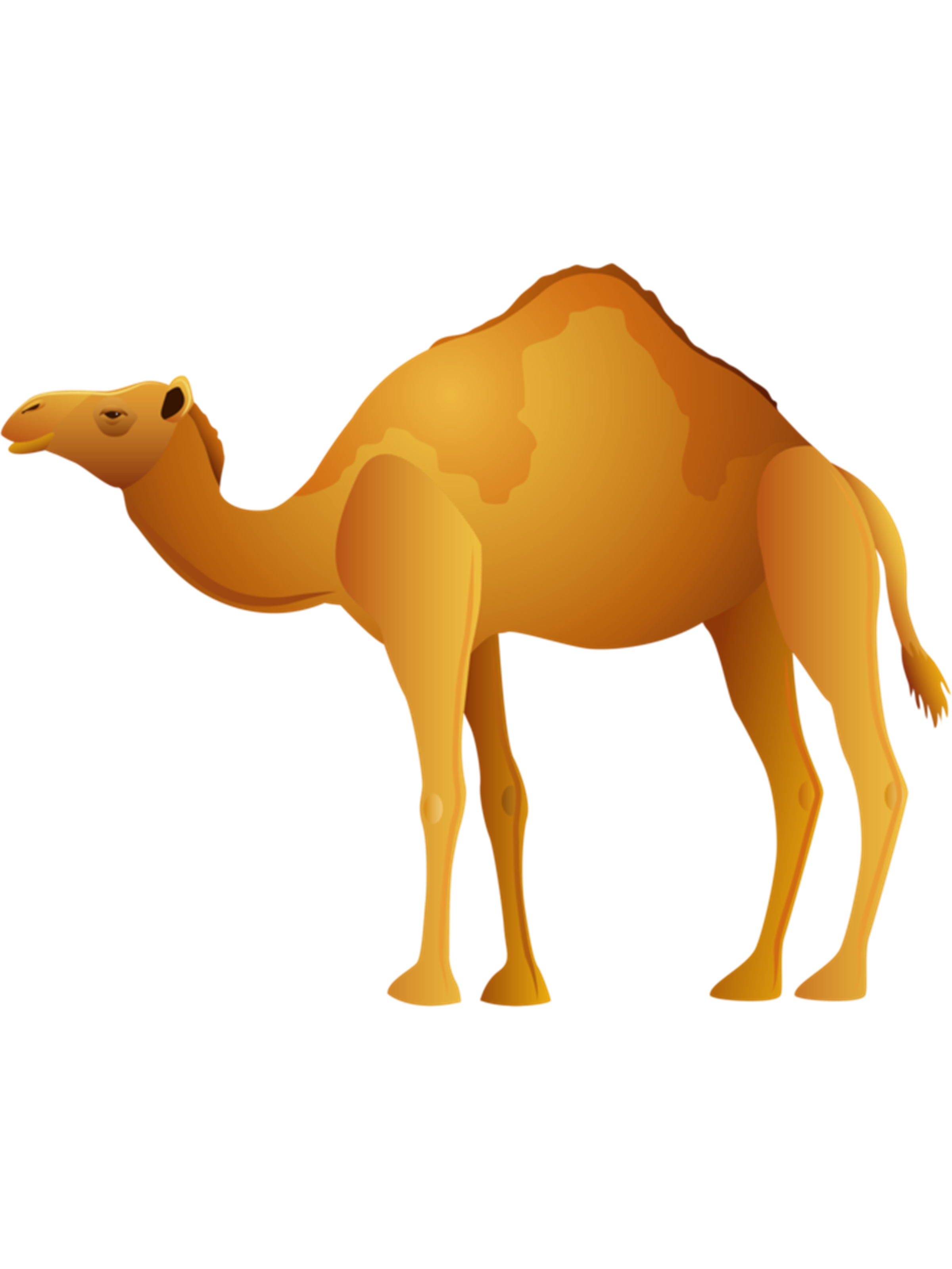 Simple Camel Illustration | Inspire Uplift