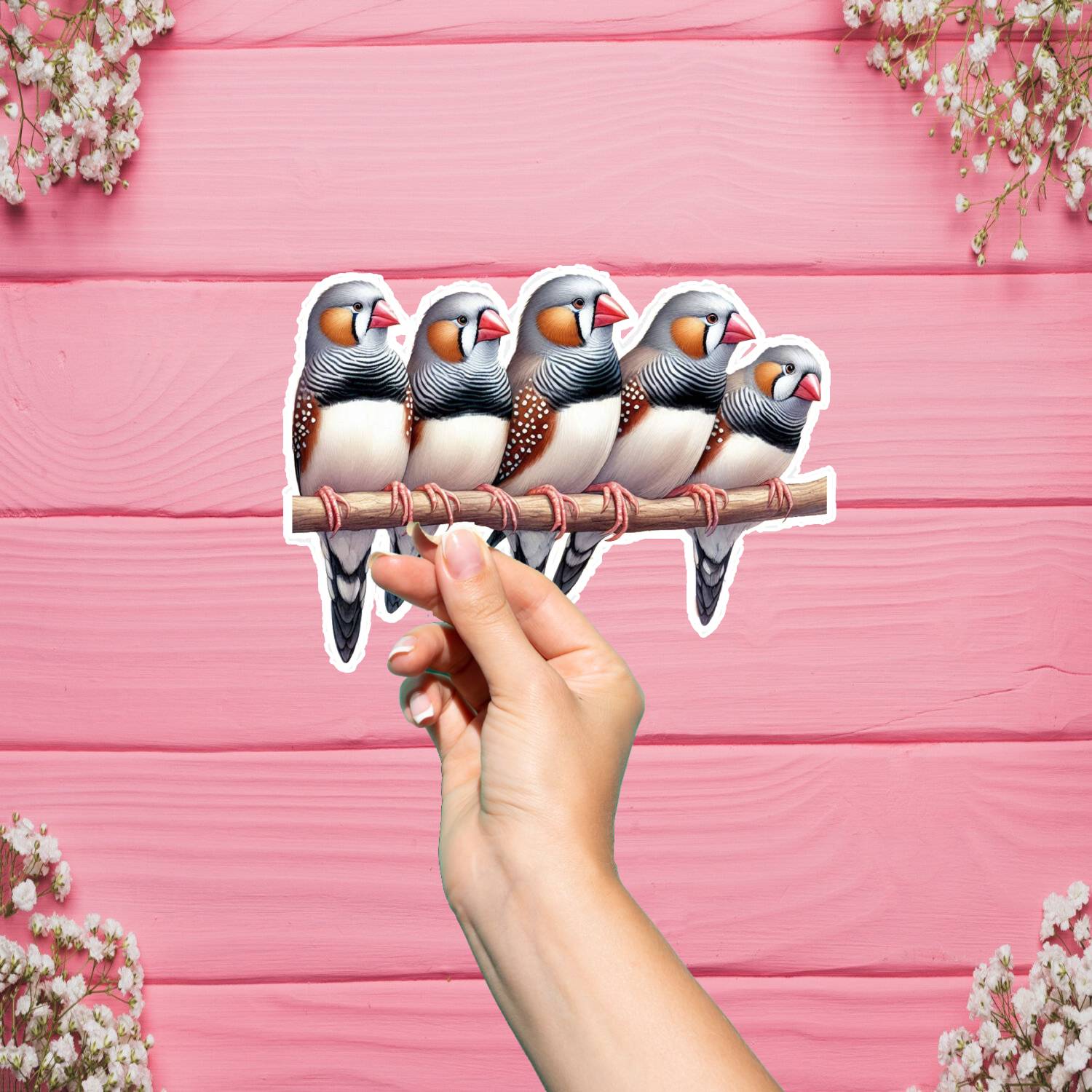 Zebra Finch Clipart, printable sticker, instant download, Au | Inspire ...