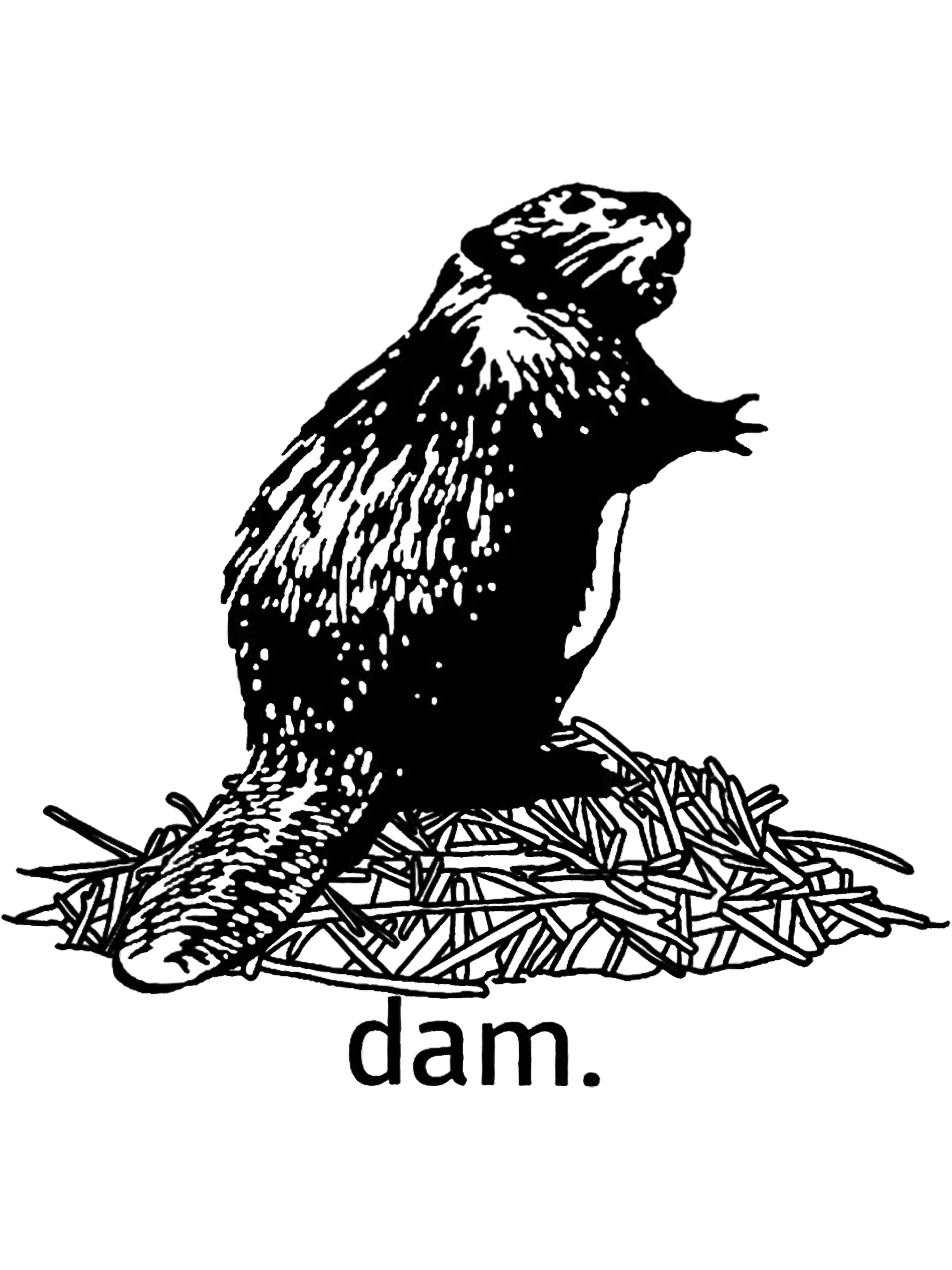 Beaver Dam Funny Animal Wildlife Humor Otter,Png, Png For Sh - Inspire ...