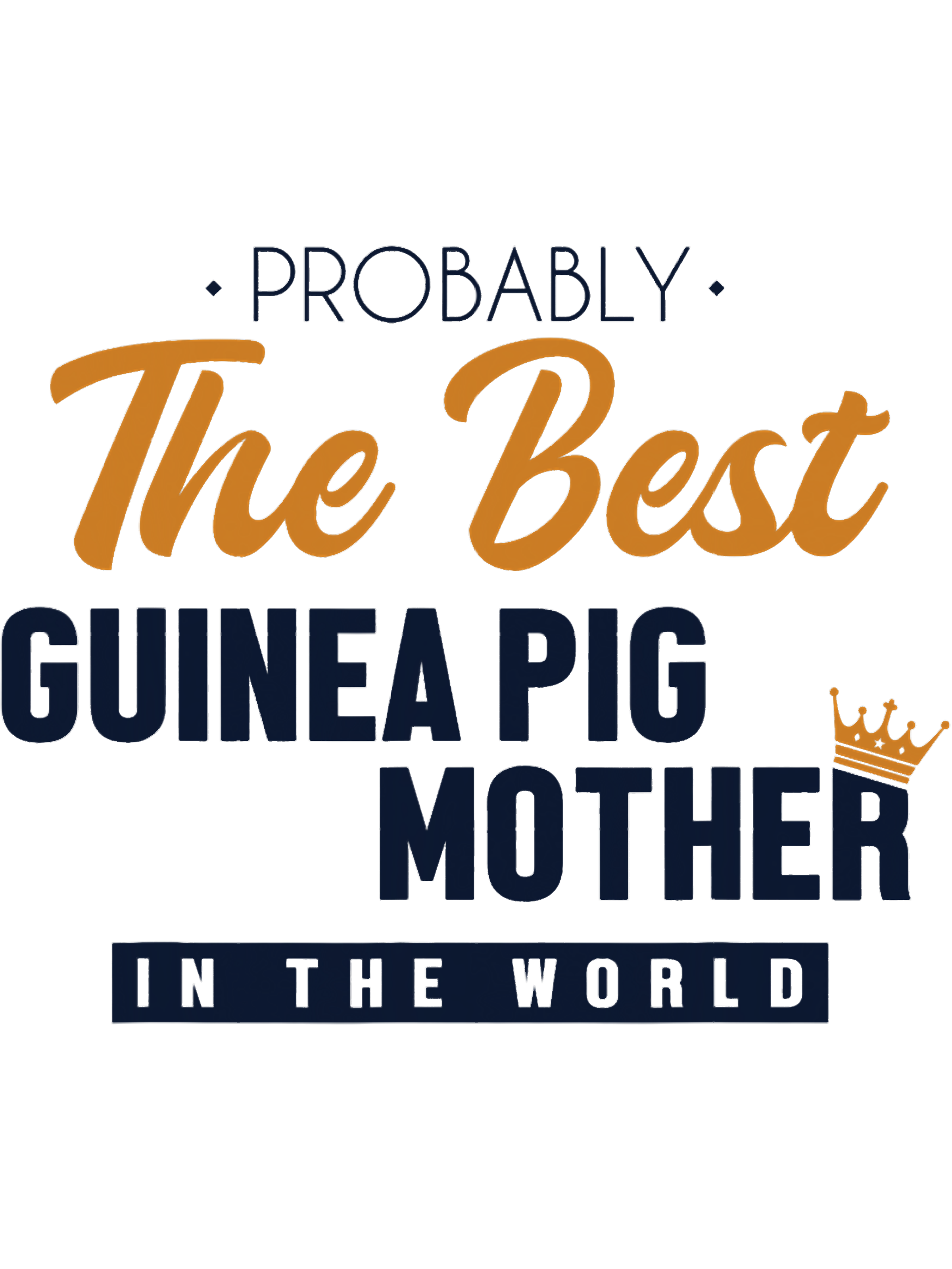 Best Guinea Pig Mother World Long Hair Guinea Pigs 21,Png, P | Inspire ...