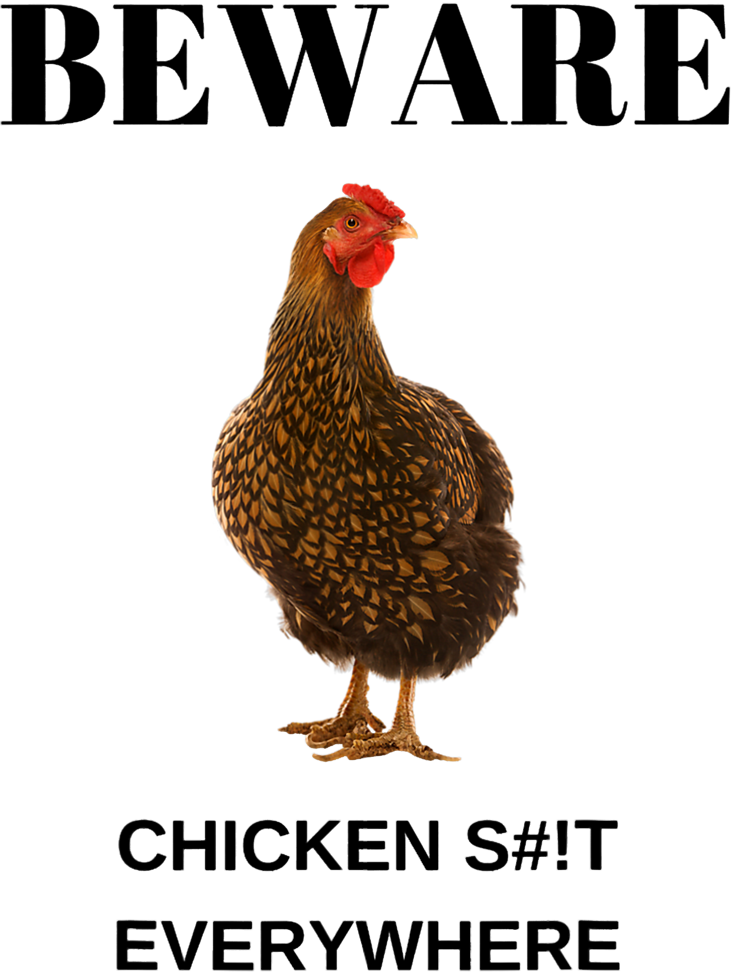 BEWARE Chicken Shit Everywhere,Png, Png For Shirt,Png Files | Inspire ...