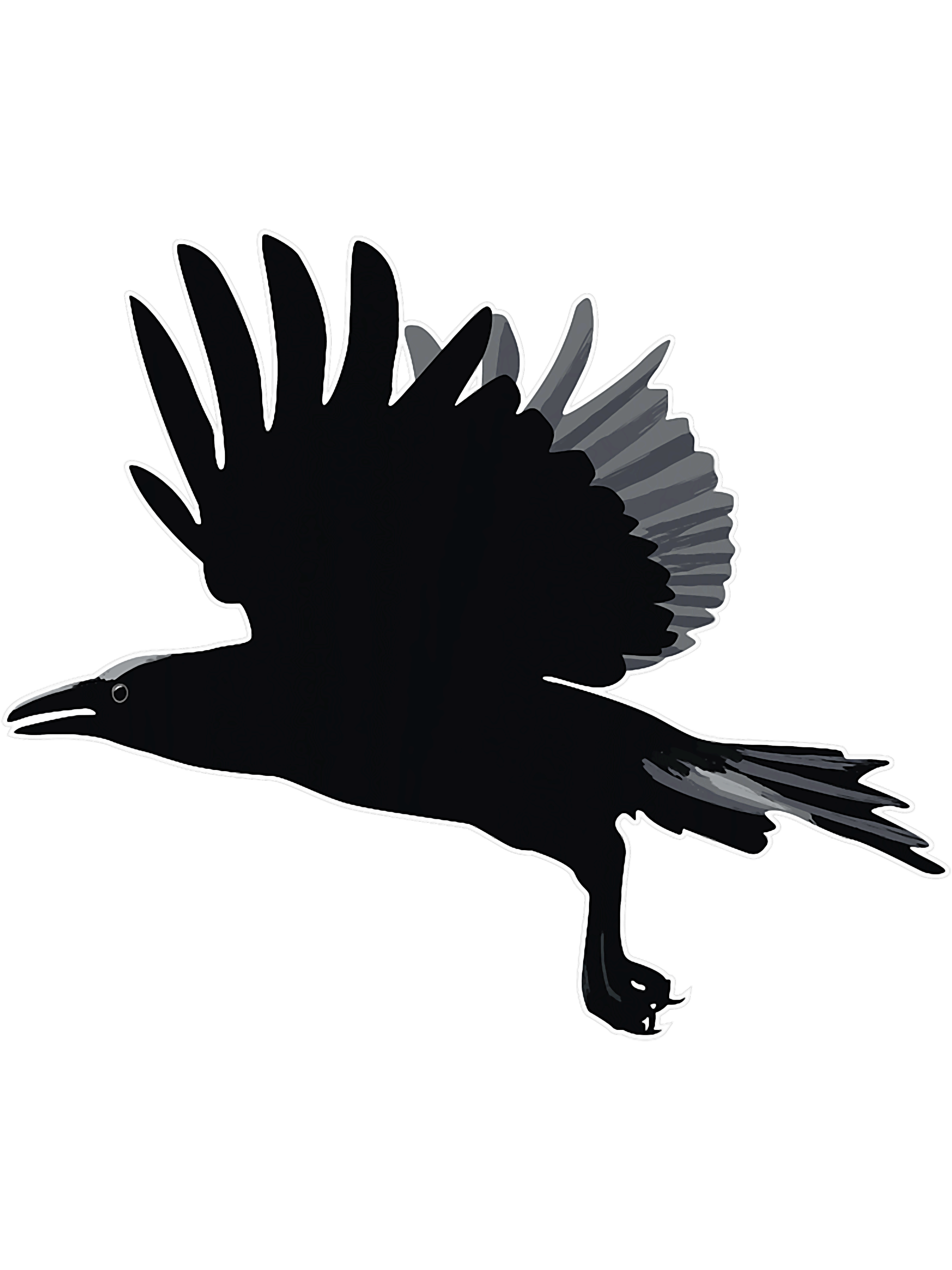 Crow Raven Raven Bird Odin Viking Fans Hugin and Munin,Png, | Inspire ...
