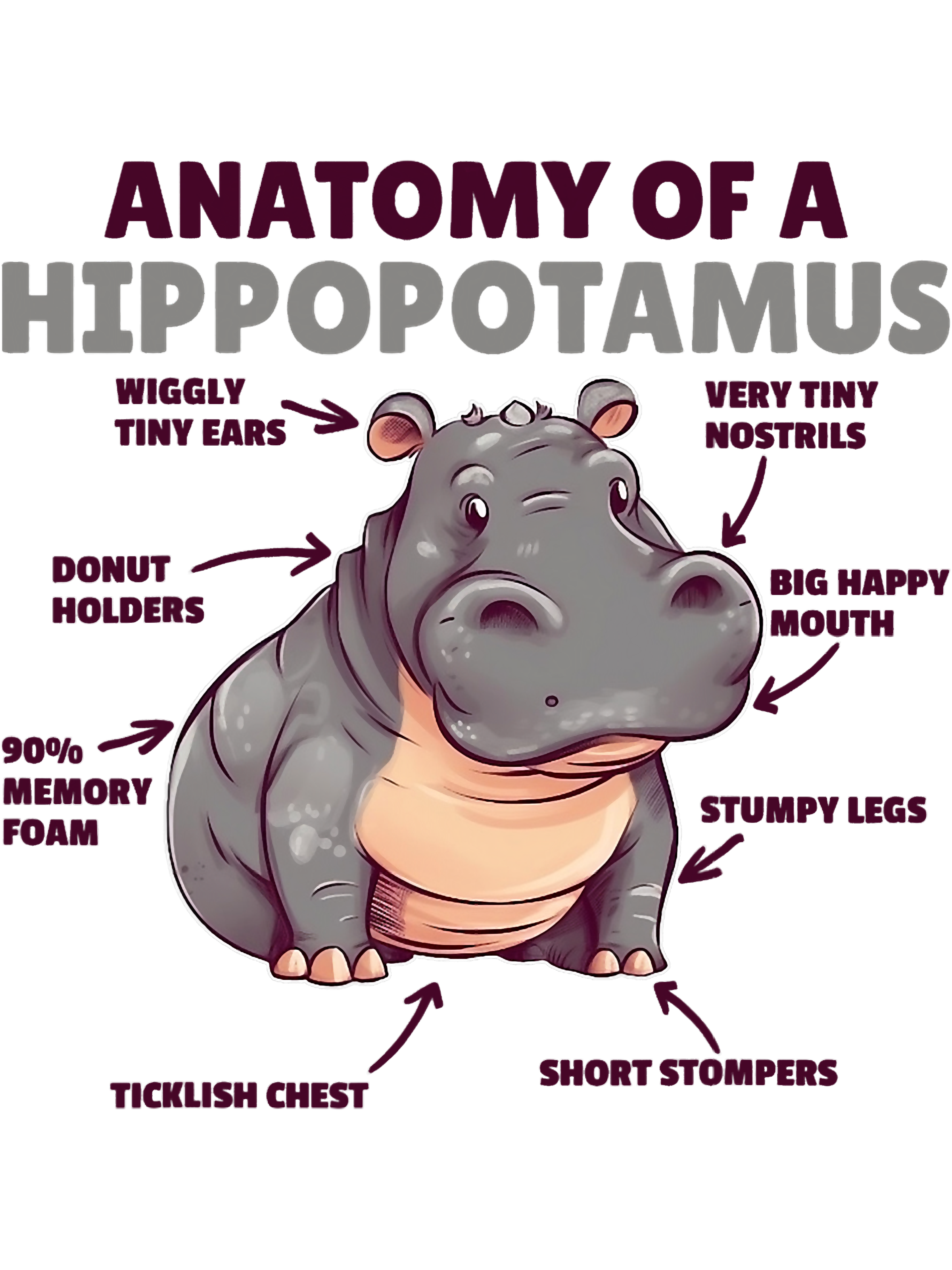 Cute Hippo Explanation Anatomy Of A Hippopotamus,Png, Png Fo | Inspire ...
