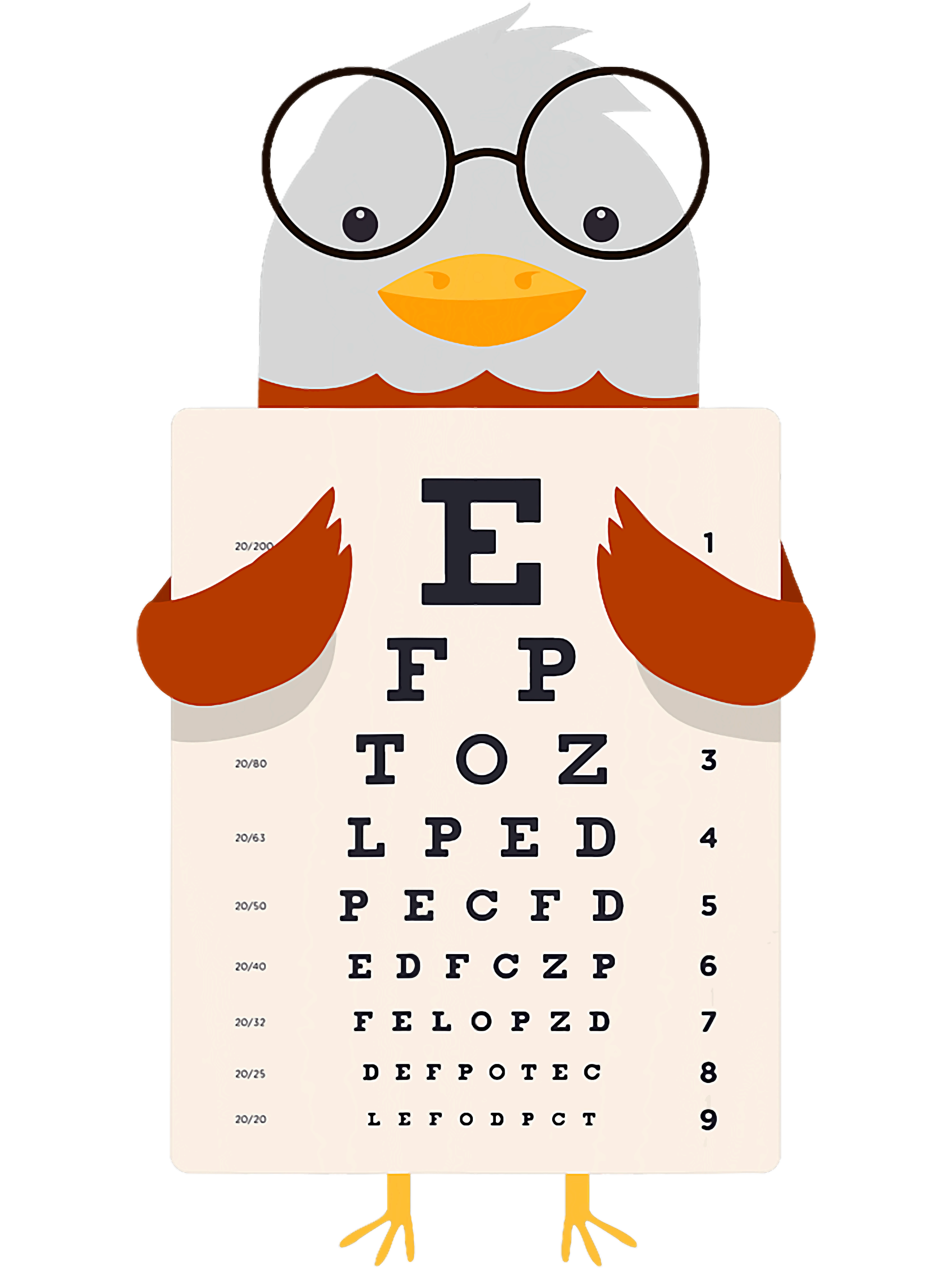 Eagle Animal Childrens Glasses with Opticians Vision Test Bo | Inspire ...