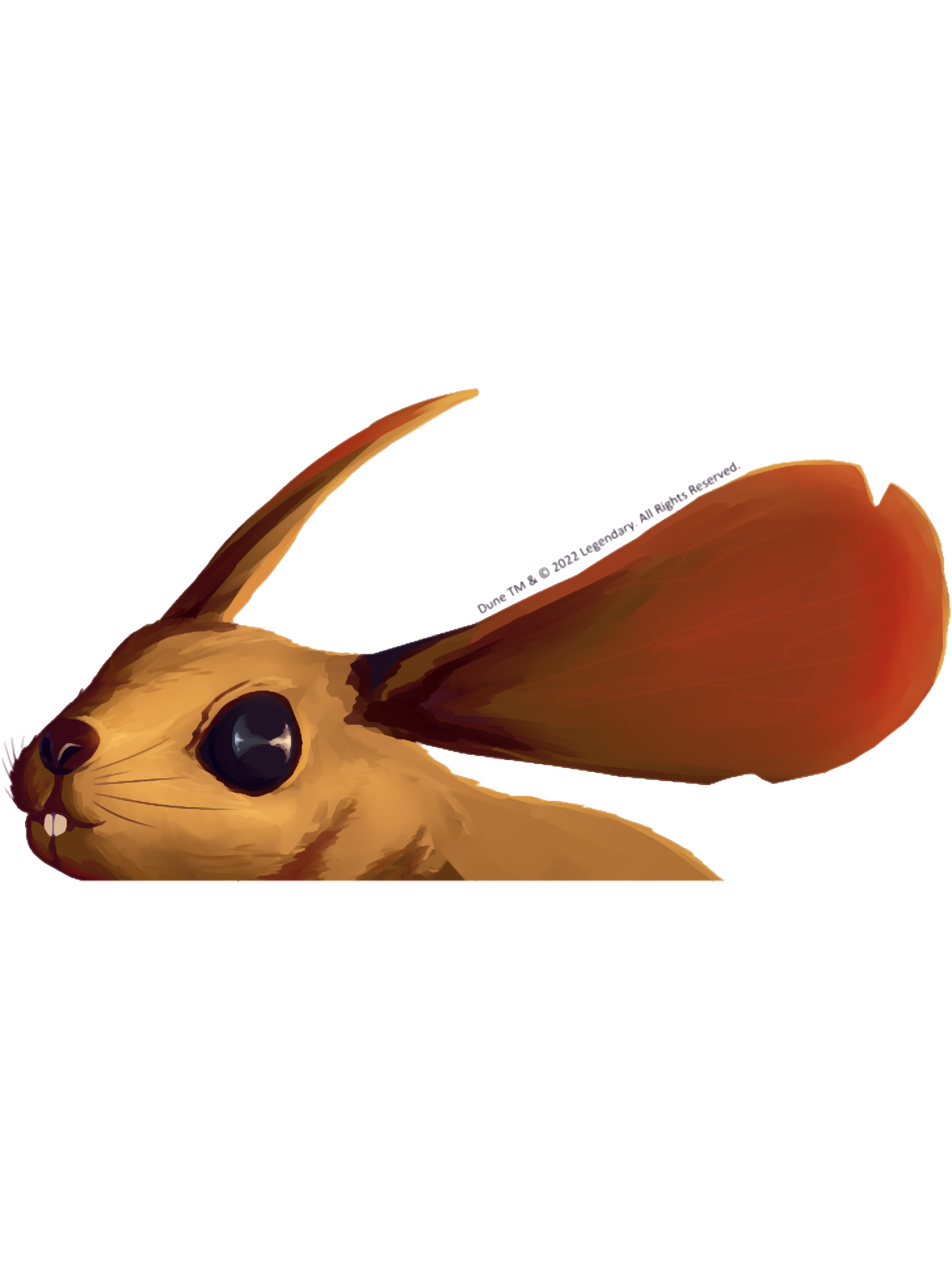 Peek! A desert mouse! | Inspire Uplift