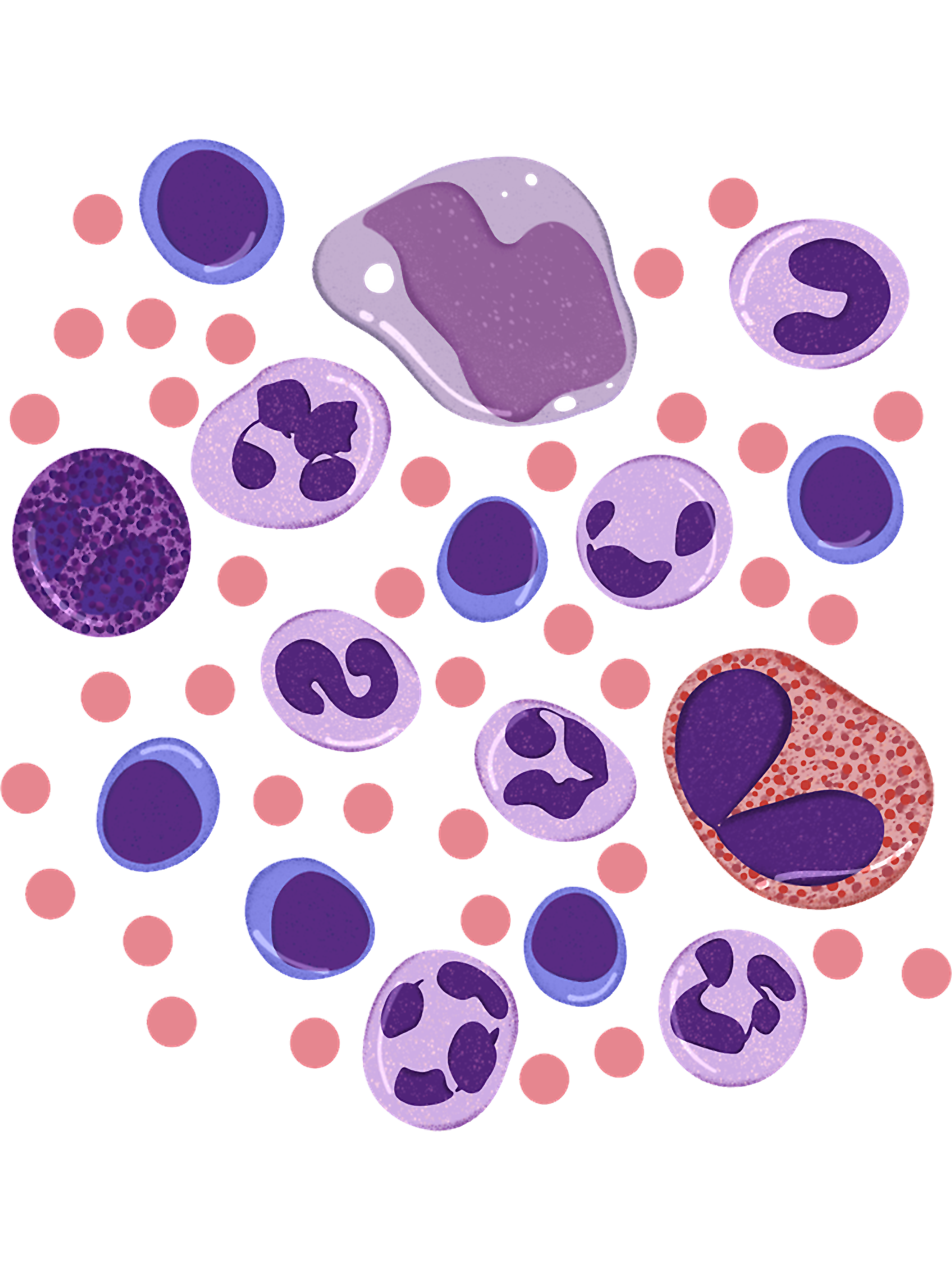 Large White Blood Cell Pattern | Inspire Uplift