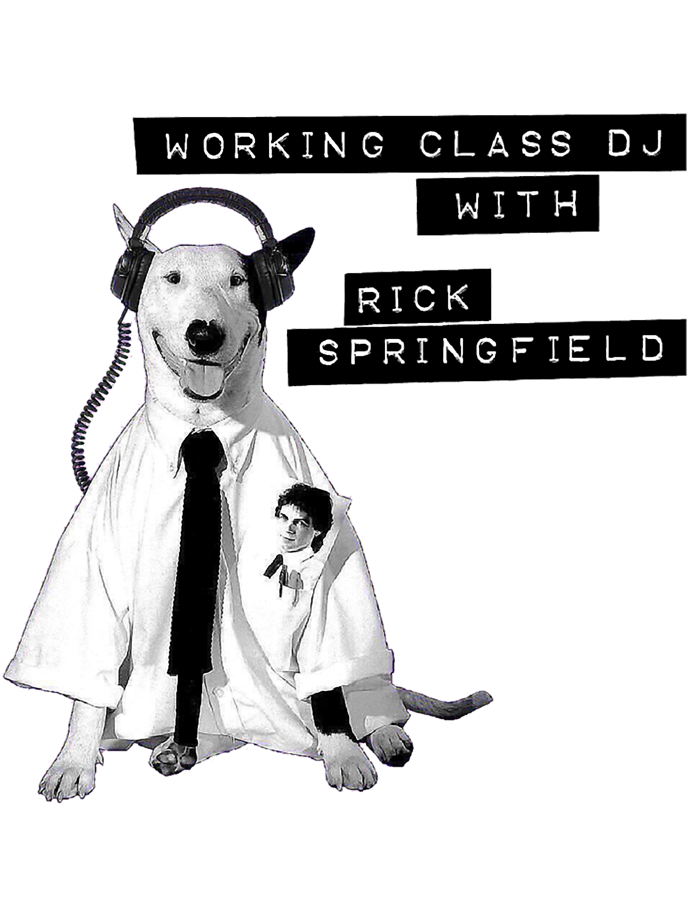US Rick 40 Years of Working Class Dog Springfield U.S. | Inspire Uplift