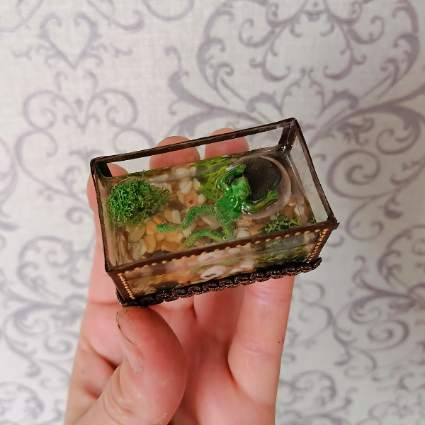 Terrarium. Aquarium with a frog. Puppet miniature. | Inspire Uplift