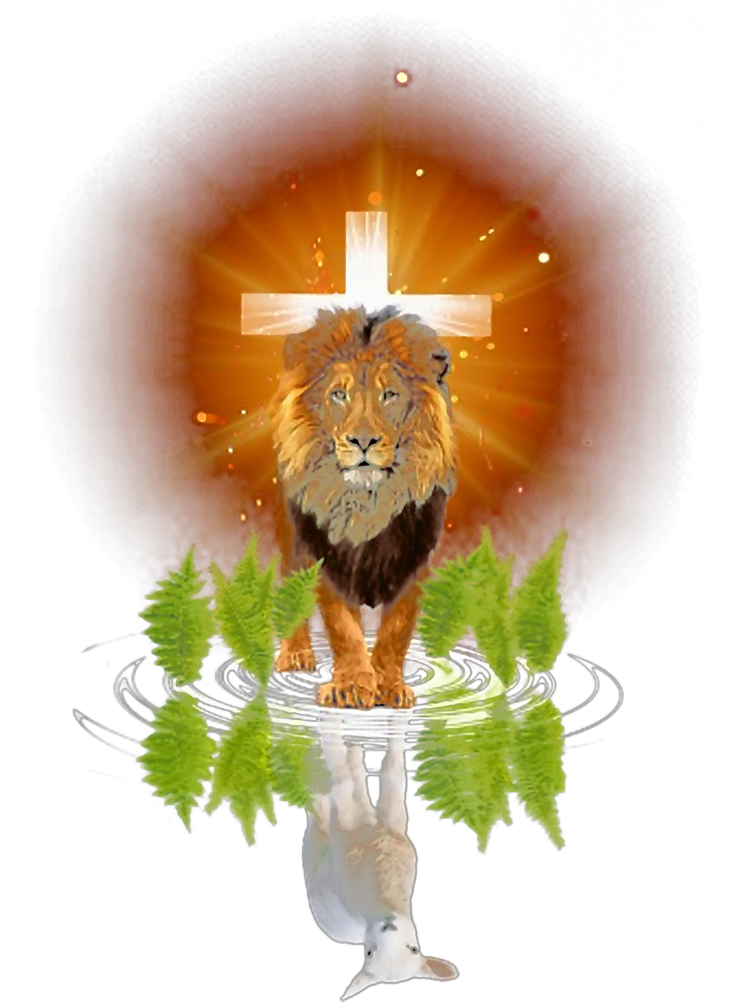 Lion Sheep Cross Jesus Reflection Water Mirror Sheep, Png, P | Inspire ...