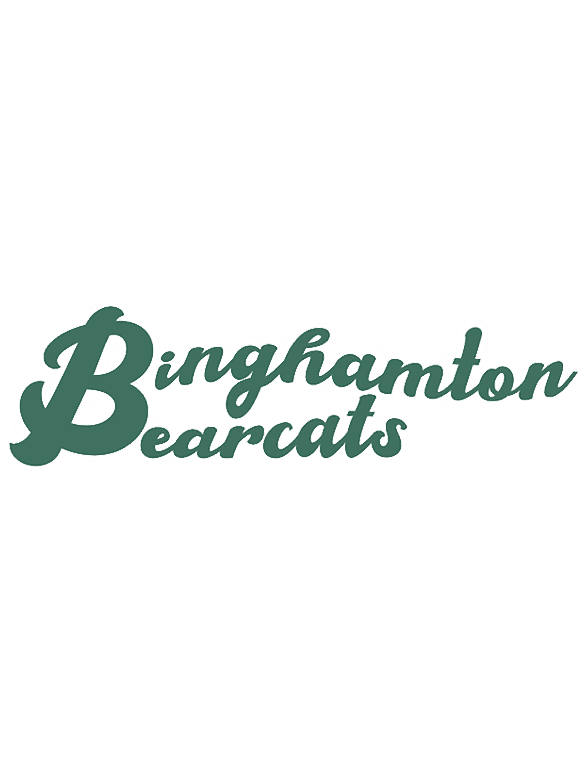 Binghamton Bearcats SUNY .png | Inspire Uplift