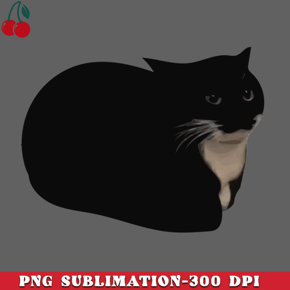 maxwell the cat PNG Download | Inspire Uplift