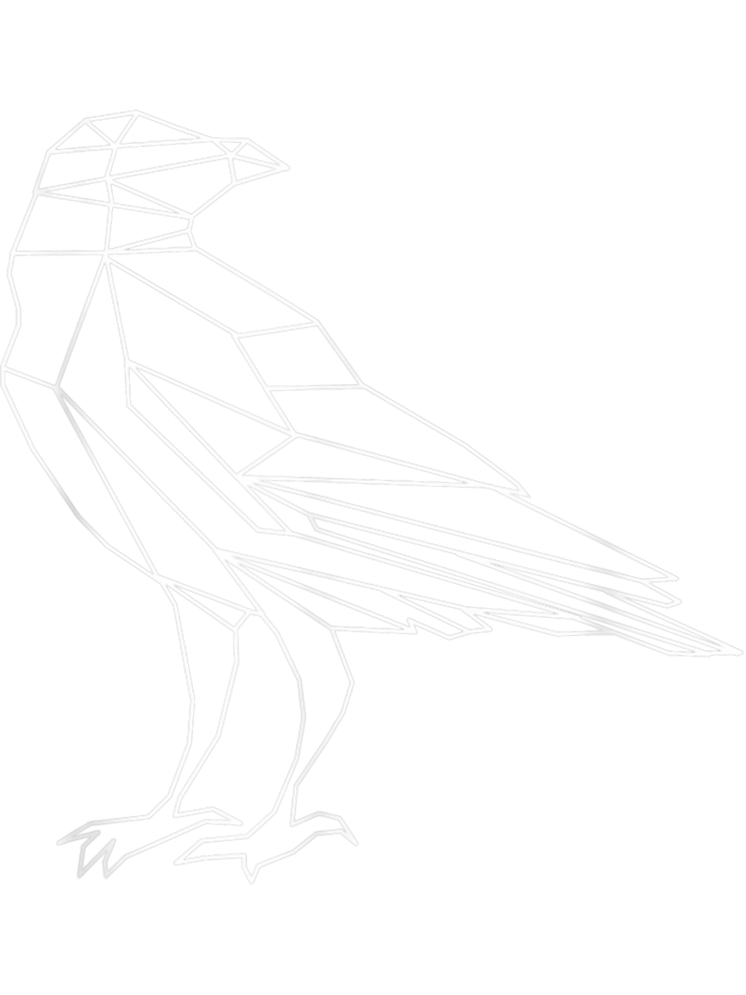 Crow Line Art Crows Raven Bird Ornithologist Birdwatching PN - Inspire ...