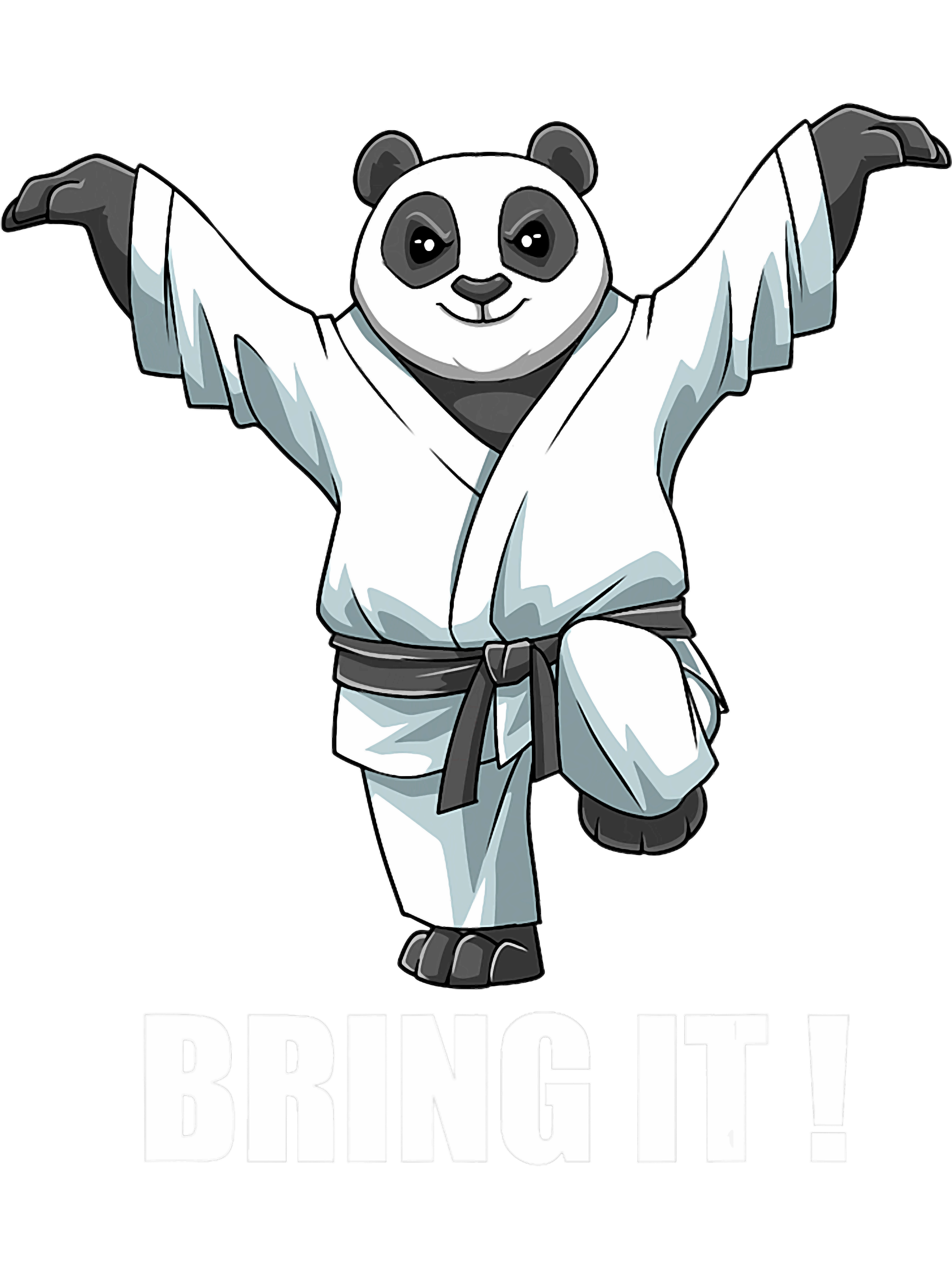 Funny Karate Panda Crane Kick 2Karate Japanese Martial Arts | Inspire ...