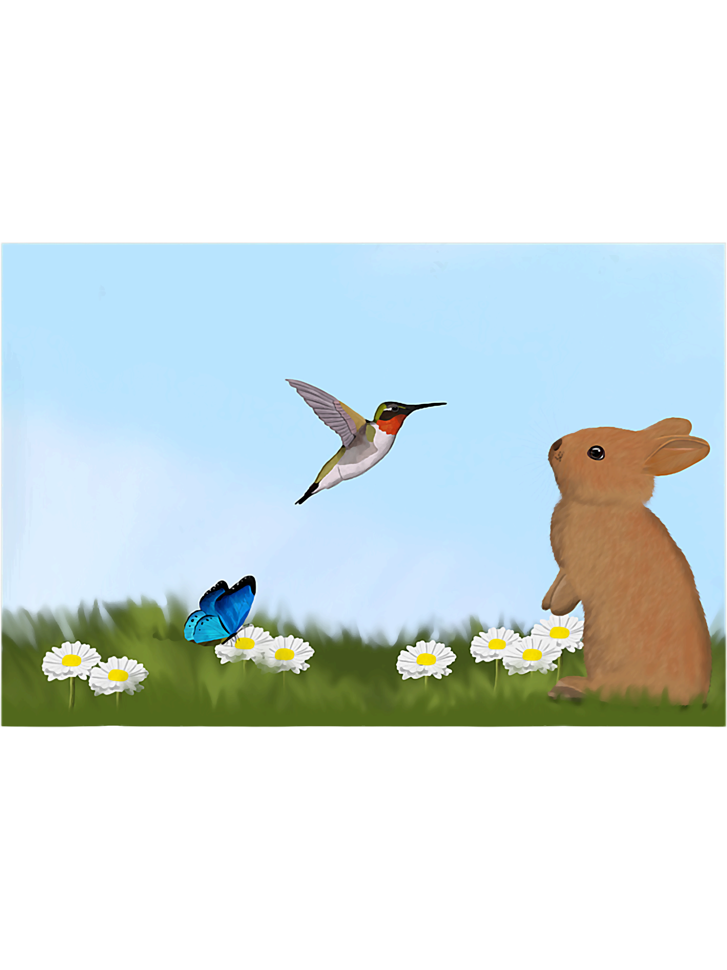 Hummingbird Bird Bunny Spring Birdwatcher Animal Biologist P | Inspire ...