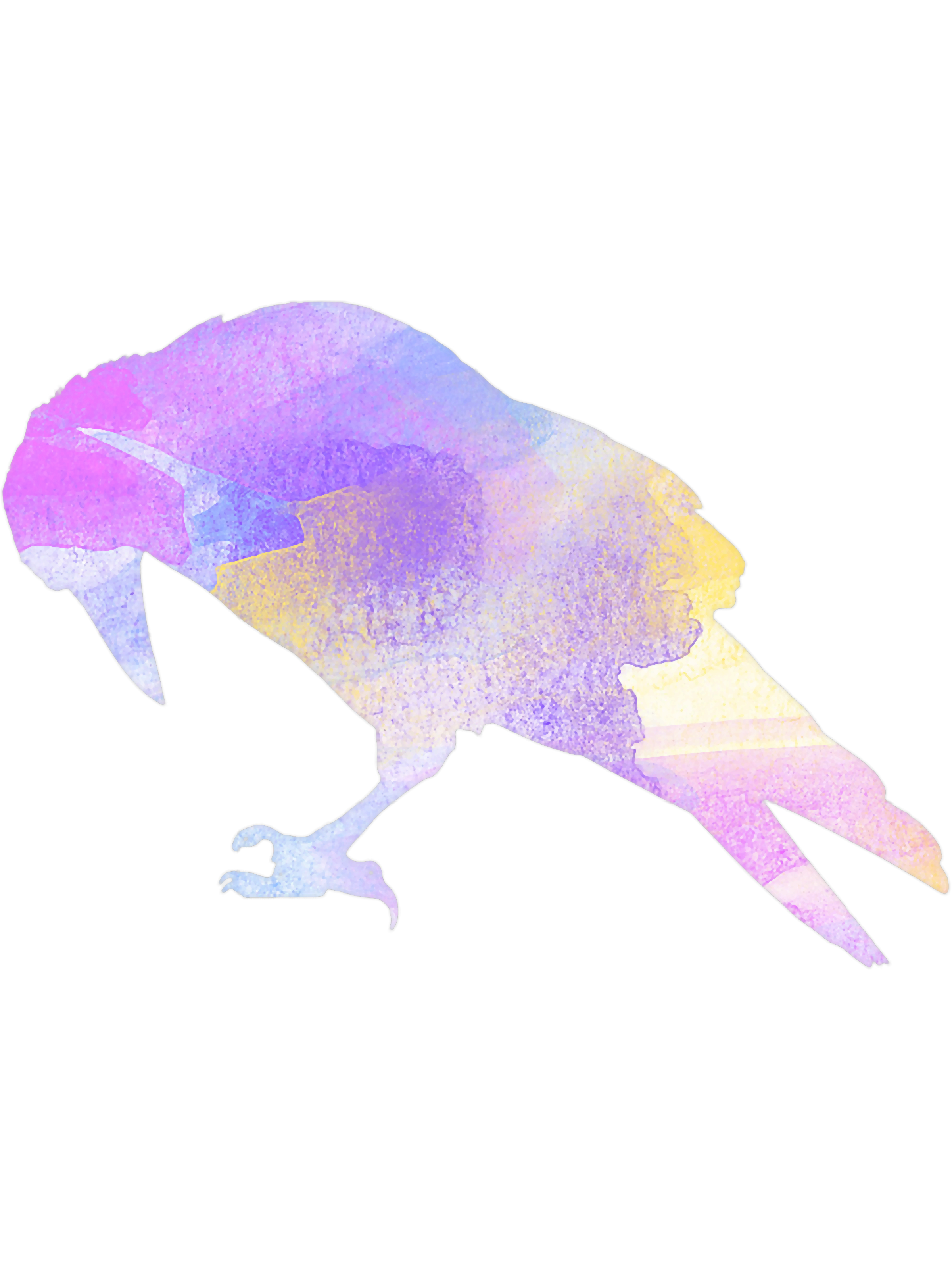 Watercolor Flying Crow Colorful Birders Bird Watching PNG T- | Inspire ...