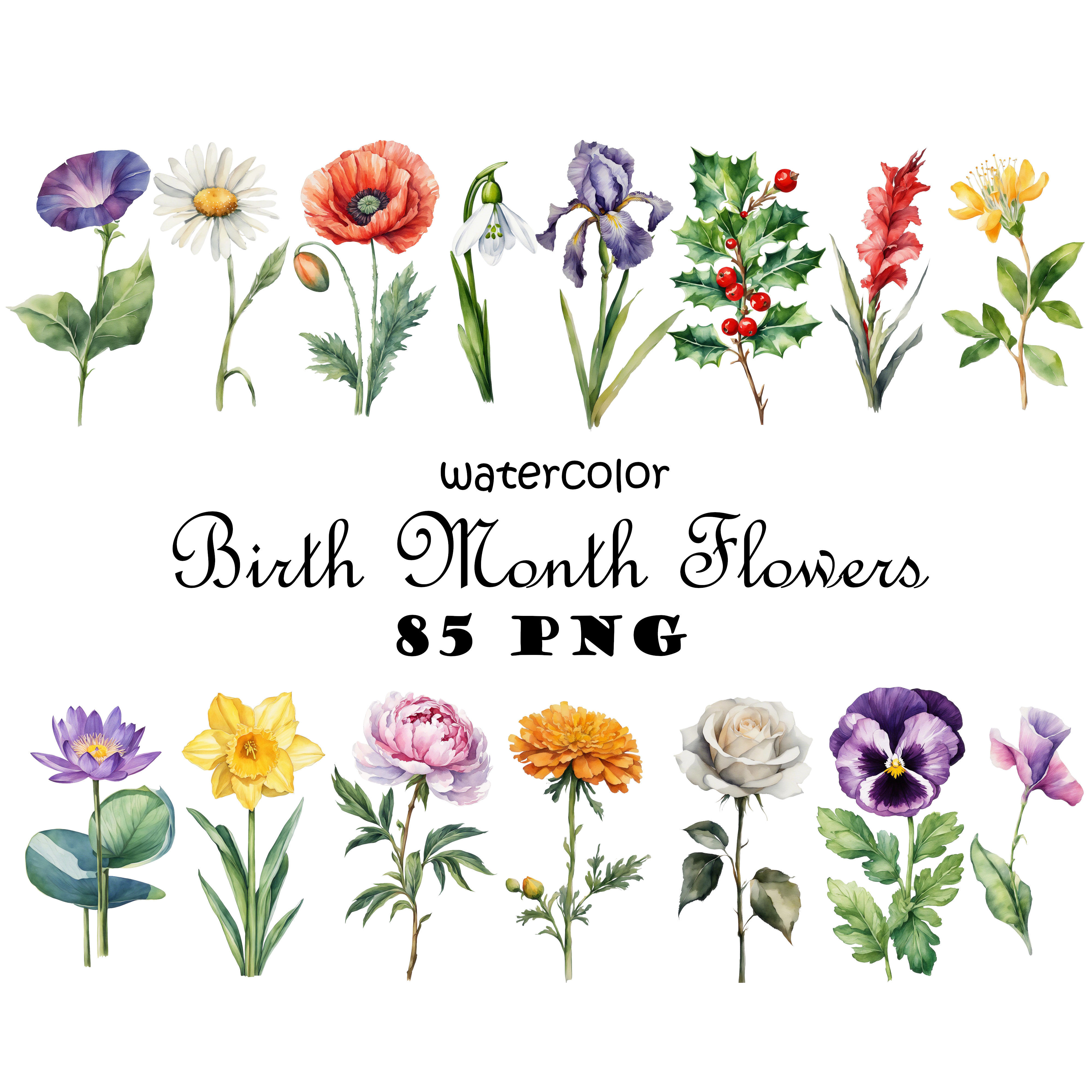 Birth Month Flowers Watercolor Clipart PNG Digital Bundle | Inspire Uplift
