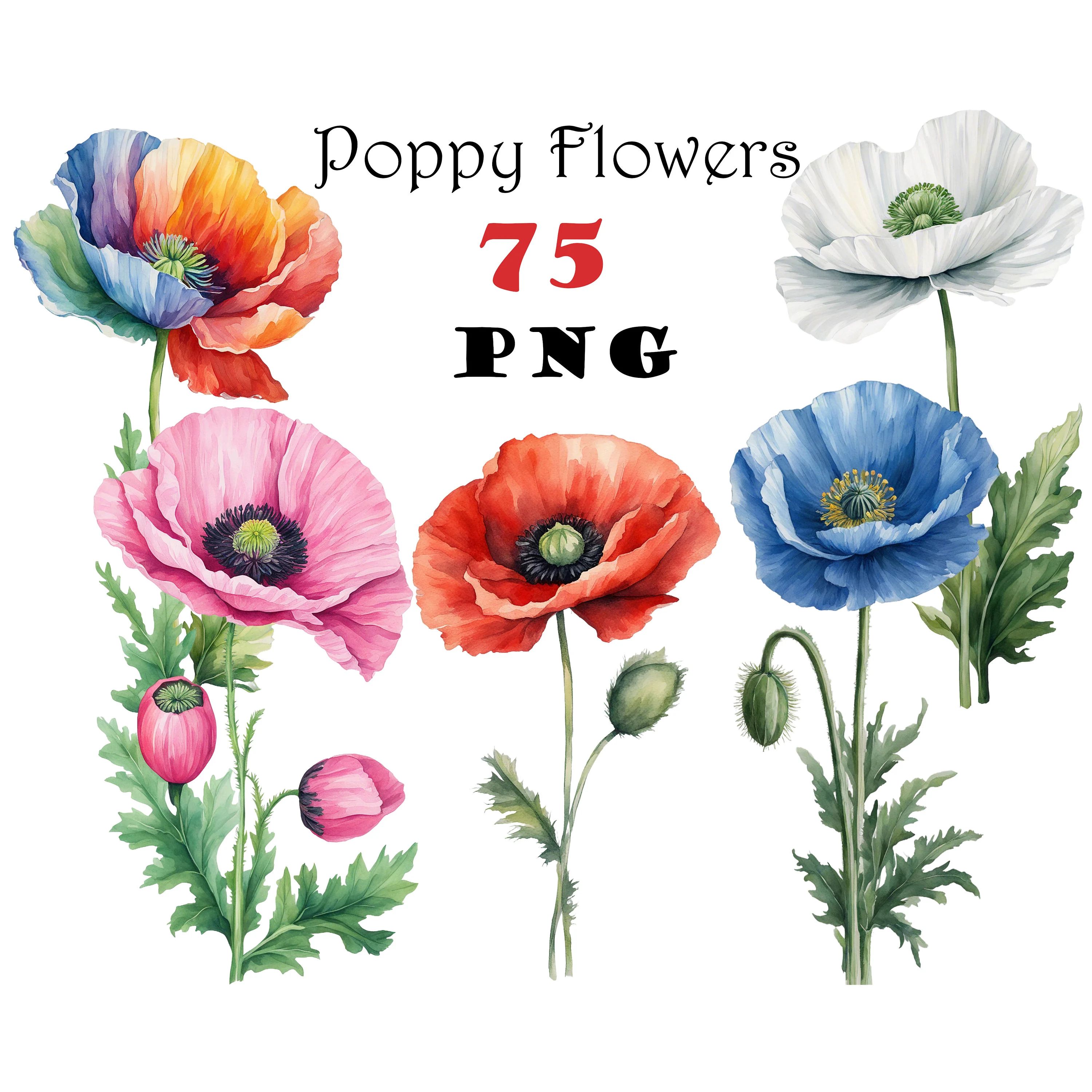 Poppy Flower Clipart | Inspire Uplift