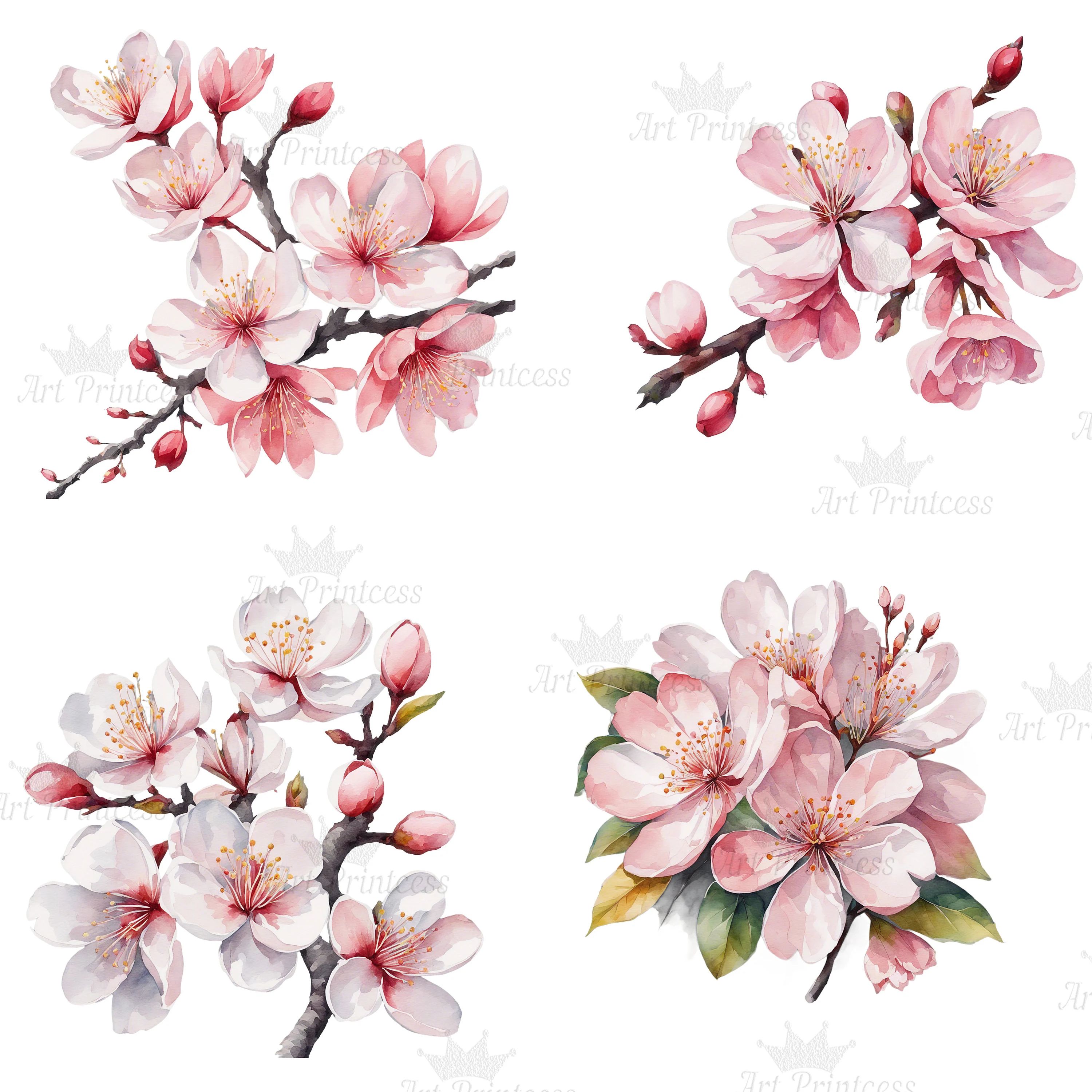Sakura watercolor Clipart PNG Bundle Sakura Tree Clipart Sak | Inspire ...