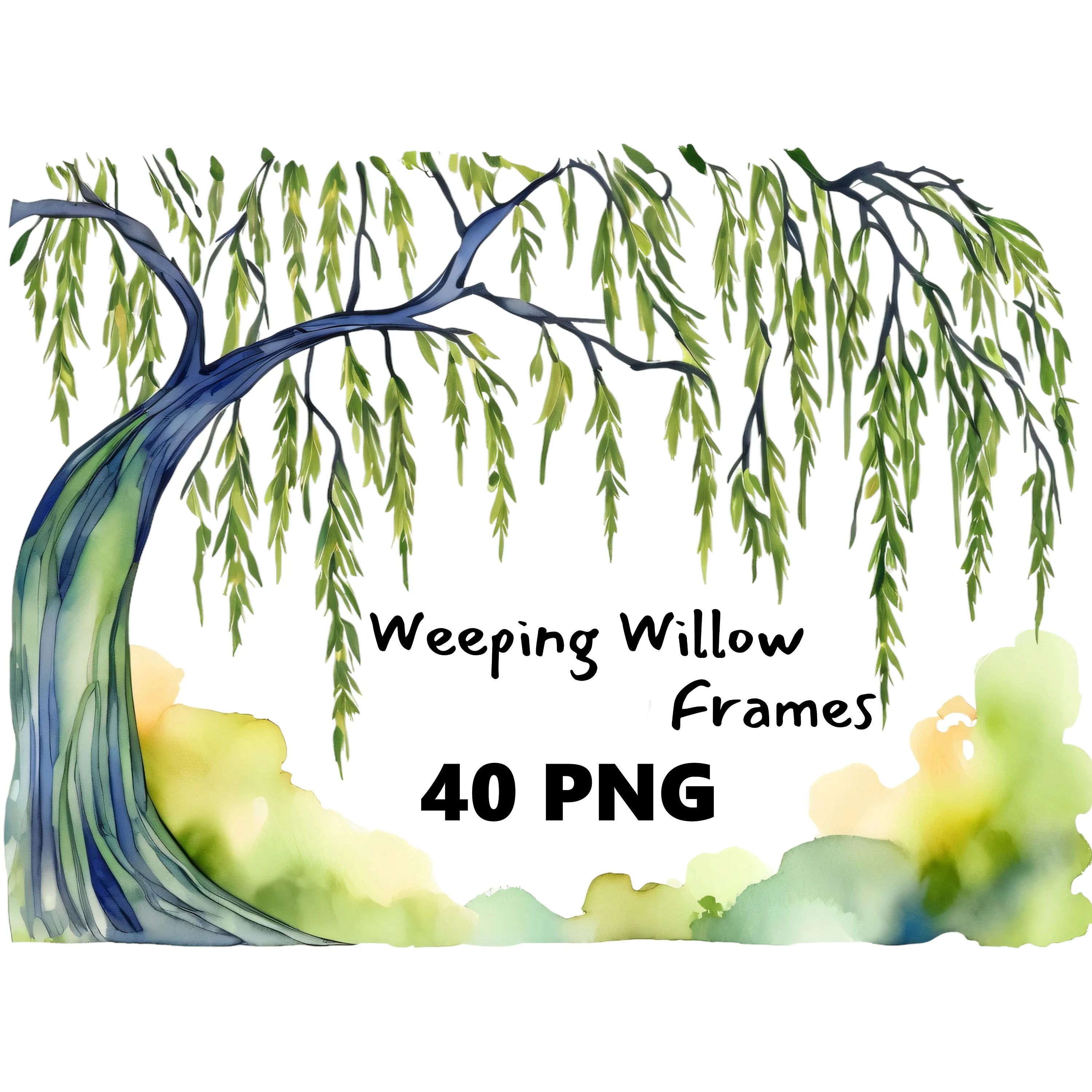 Weeping Willow Tree Border Frame Transparent Background Clip | Inspire ...
