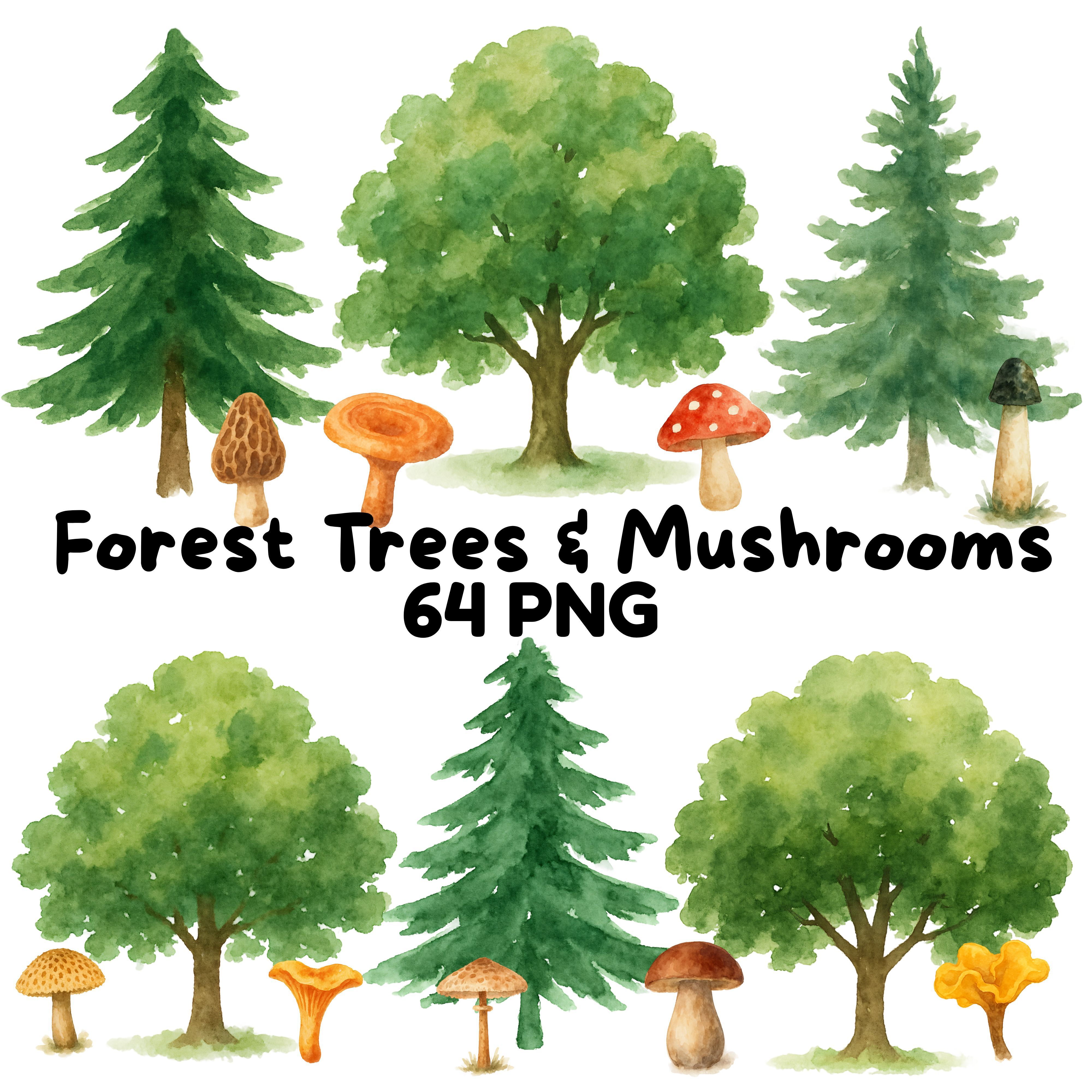 Forest Trees & Mushrooms Clipart Bundle Watercolor PNG Trans | Inspire ...