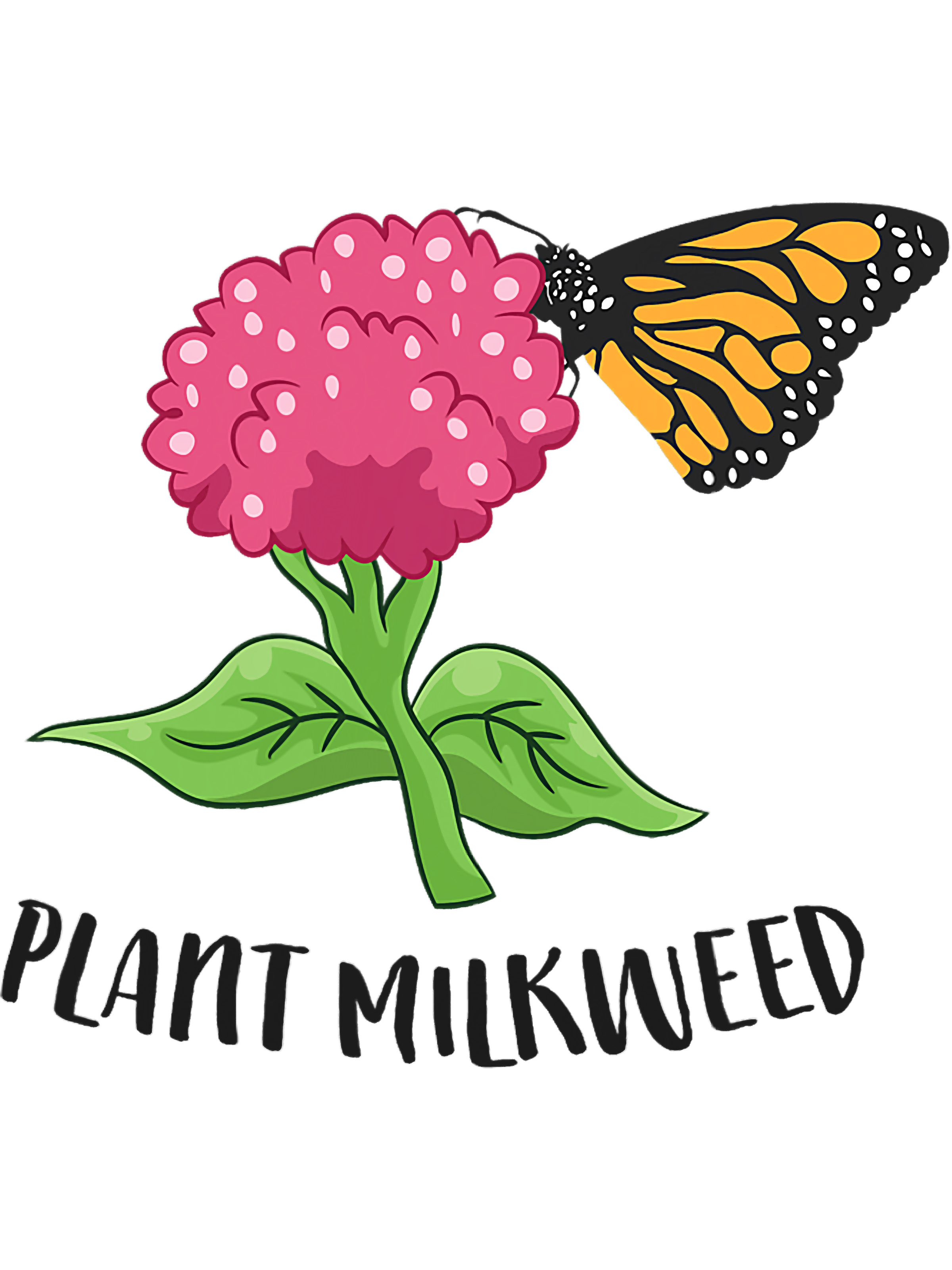 Monarch Butterfly Plant Milkweed Cute Monarch Butterfly | Inspire Uplift