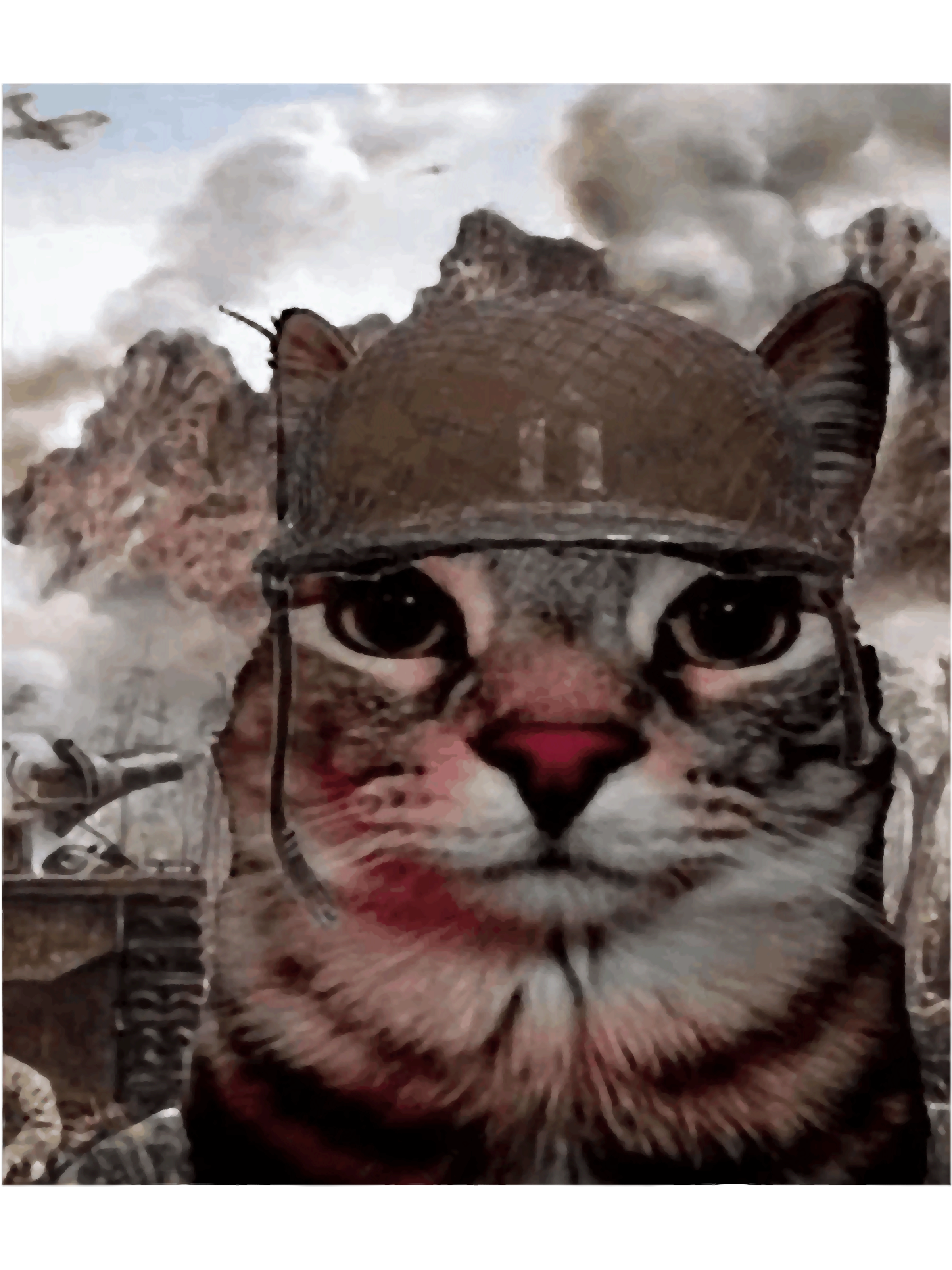 Thousand Yard Stare Funny Soldier Cat Meme in Battlefield, P | Inspire ...