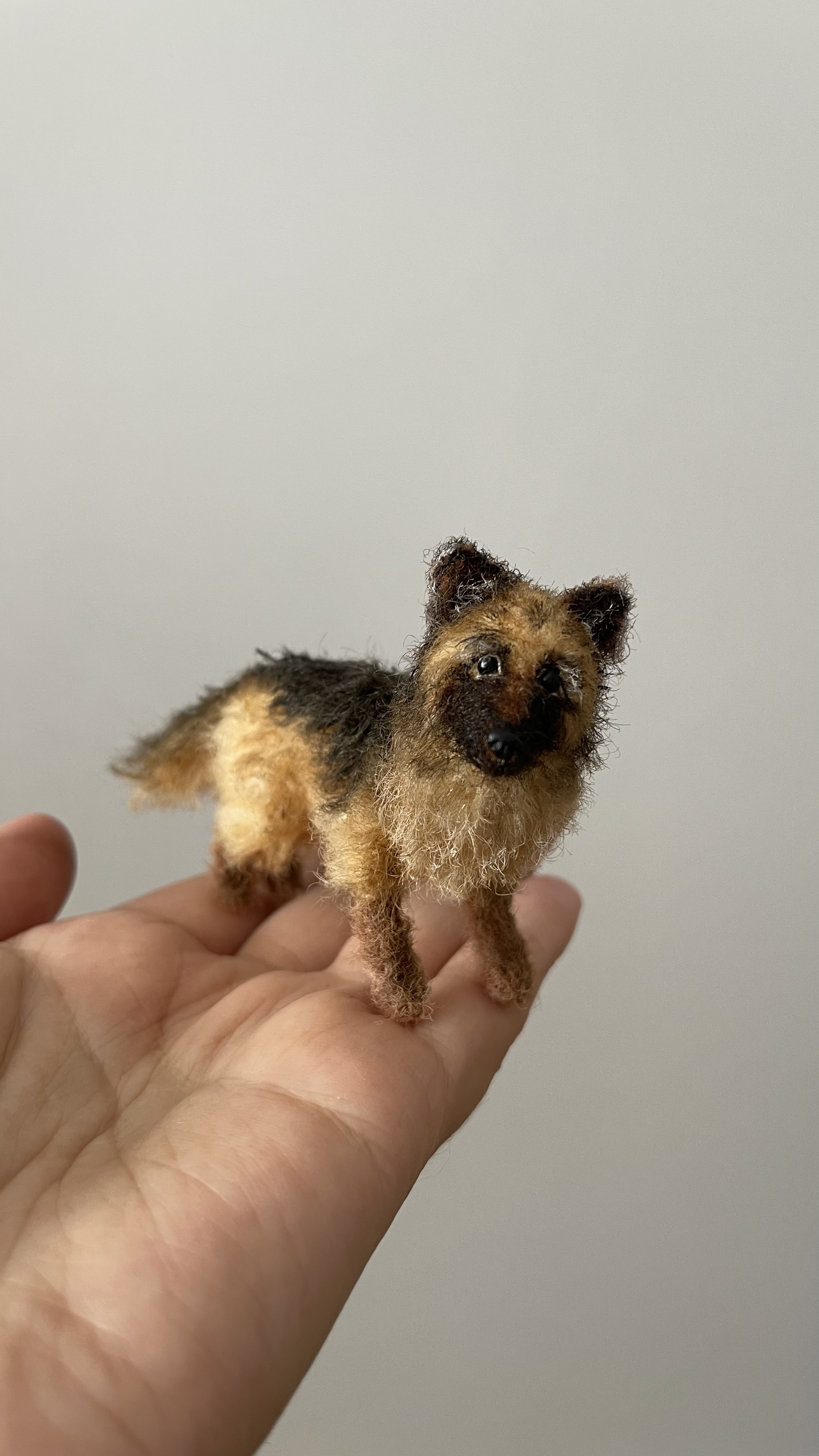 Miniature Dog | Inspire Uplift