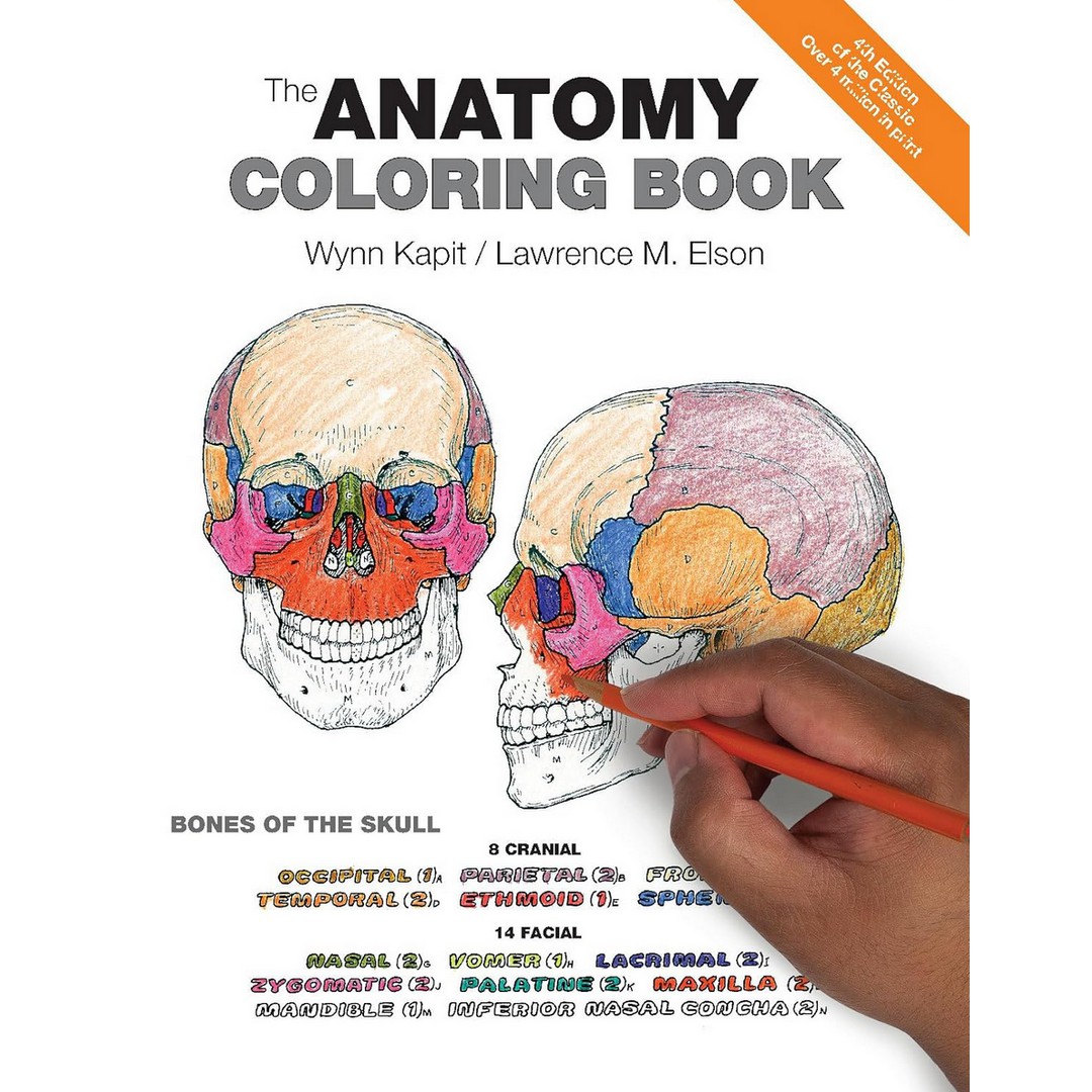 Anatomy Coloring Book 4th Inspire Uplift