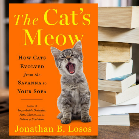 The Cat's Meow How Cats Evolved from the Savanna to Your Sof | Inspire ...