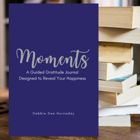 Moments A Guided Gratitude Journal Designed to Reveal Your H | Inspire ...